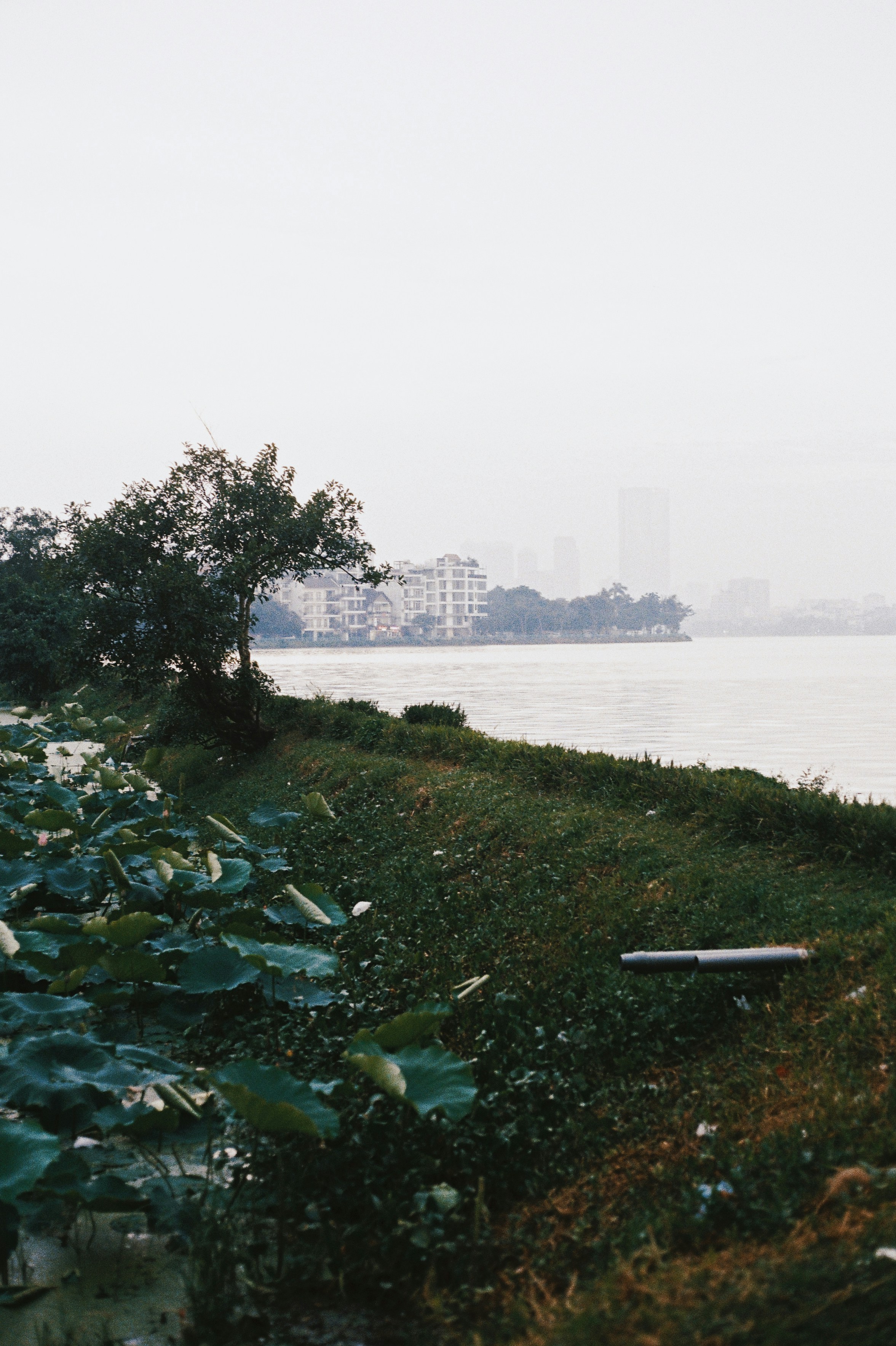Whispers of Serenity by the Water's Edge