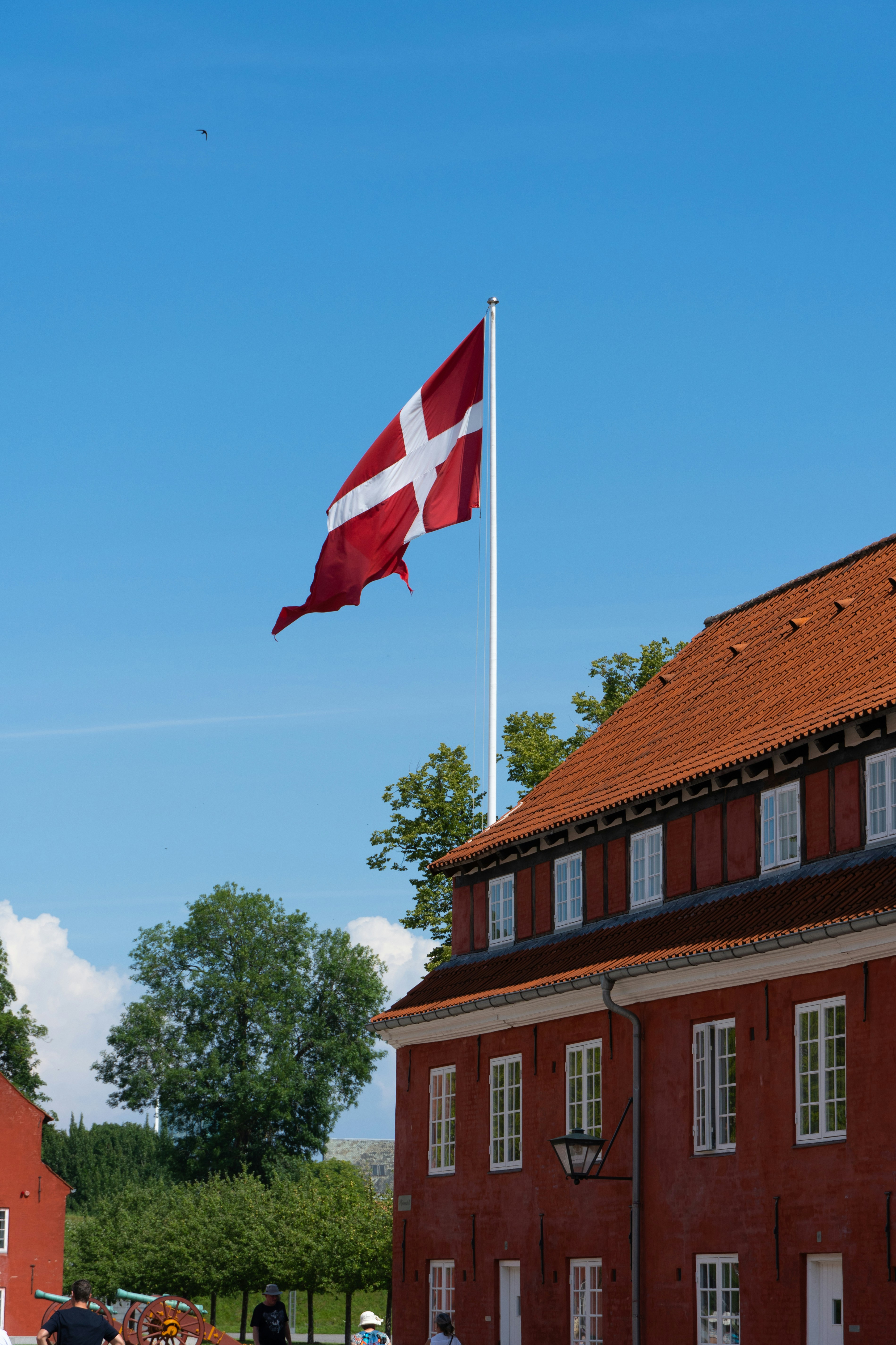 Waving Heritage: The Danish Flag in Full Glory