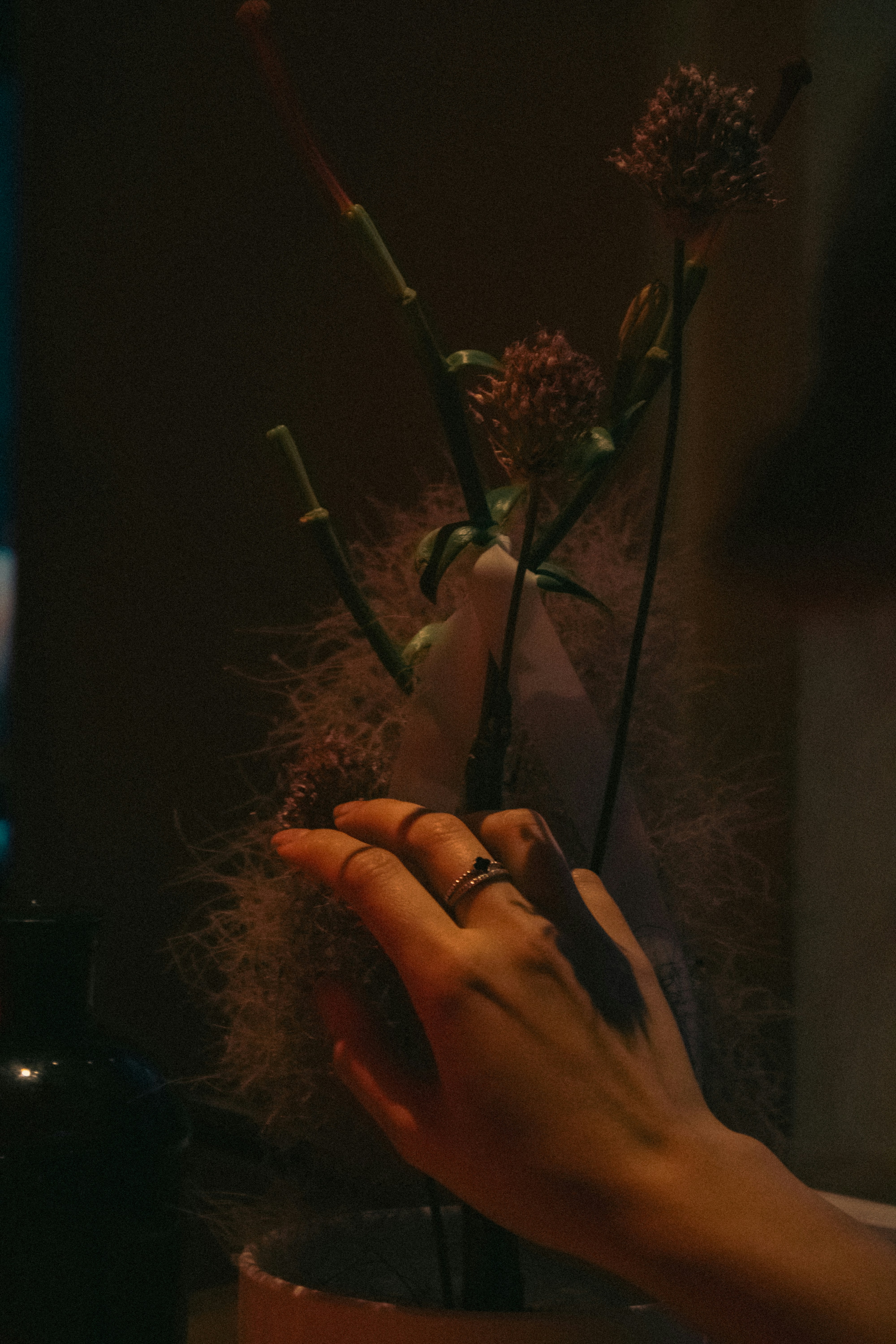 A hand gently touches flowers in dim lighting.
