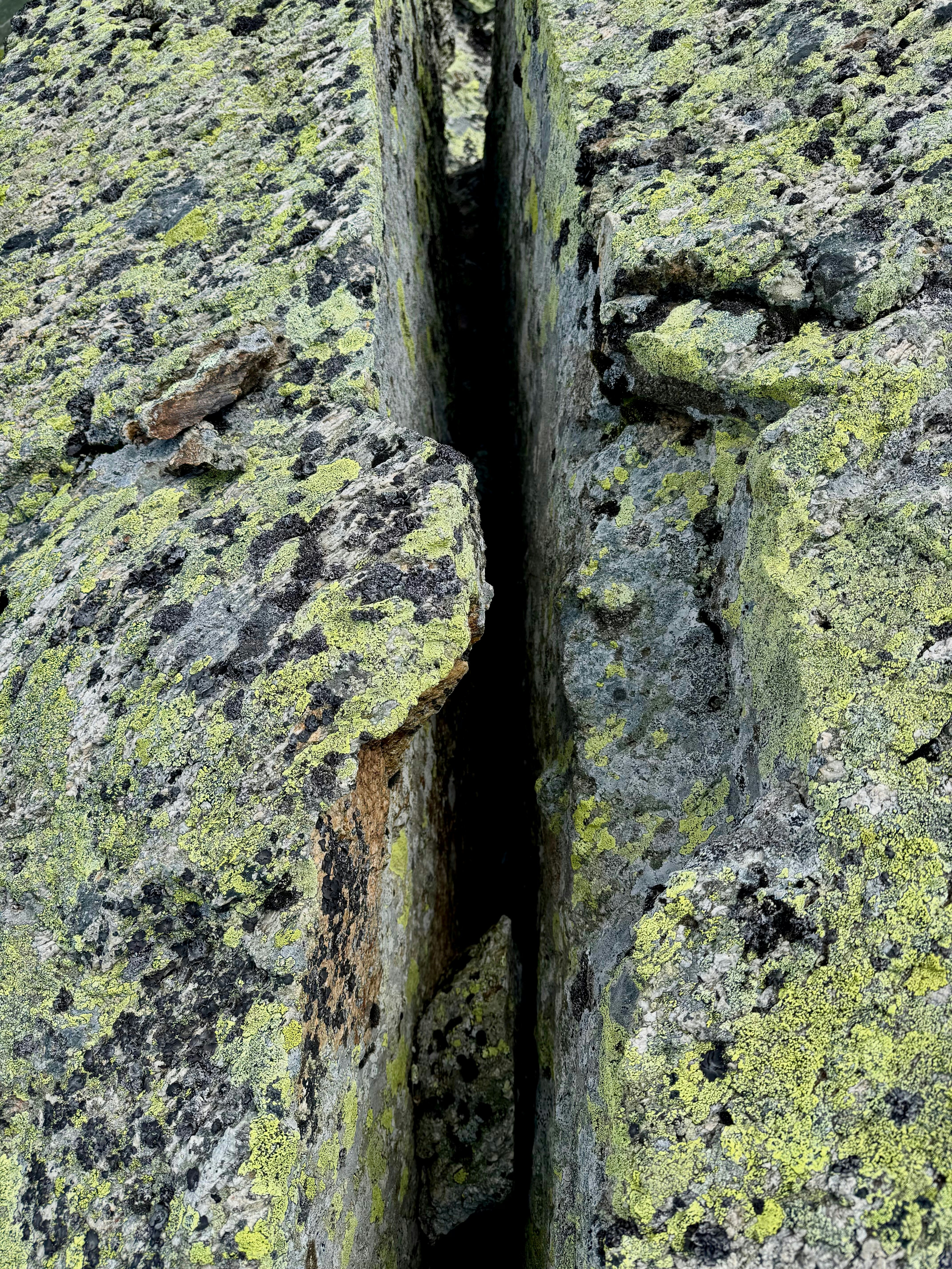 Rocks and Lichen | A deep crack divides the rock.