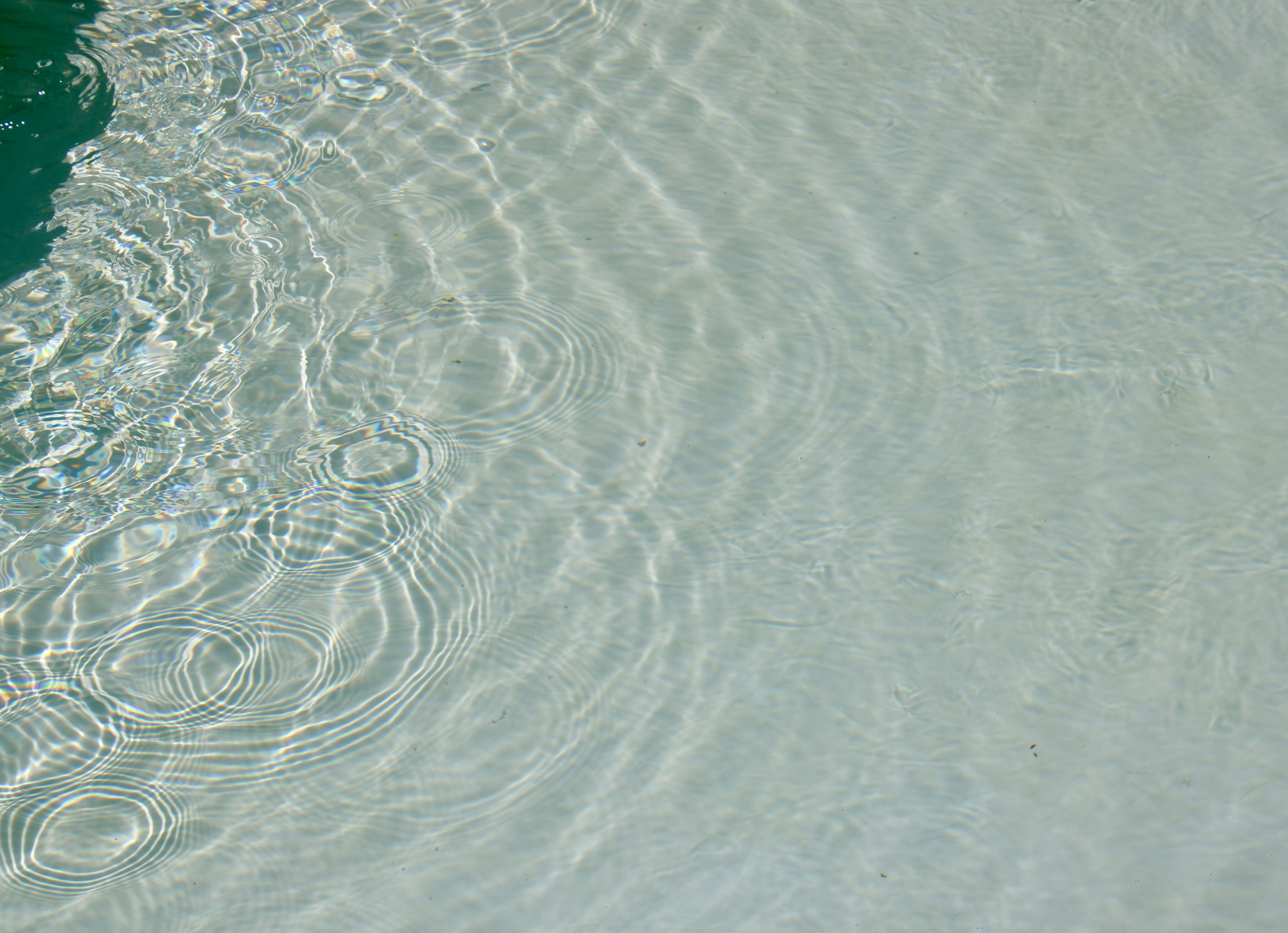 Ripples of Serenity: A Dance on Water's Surface