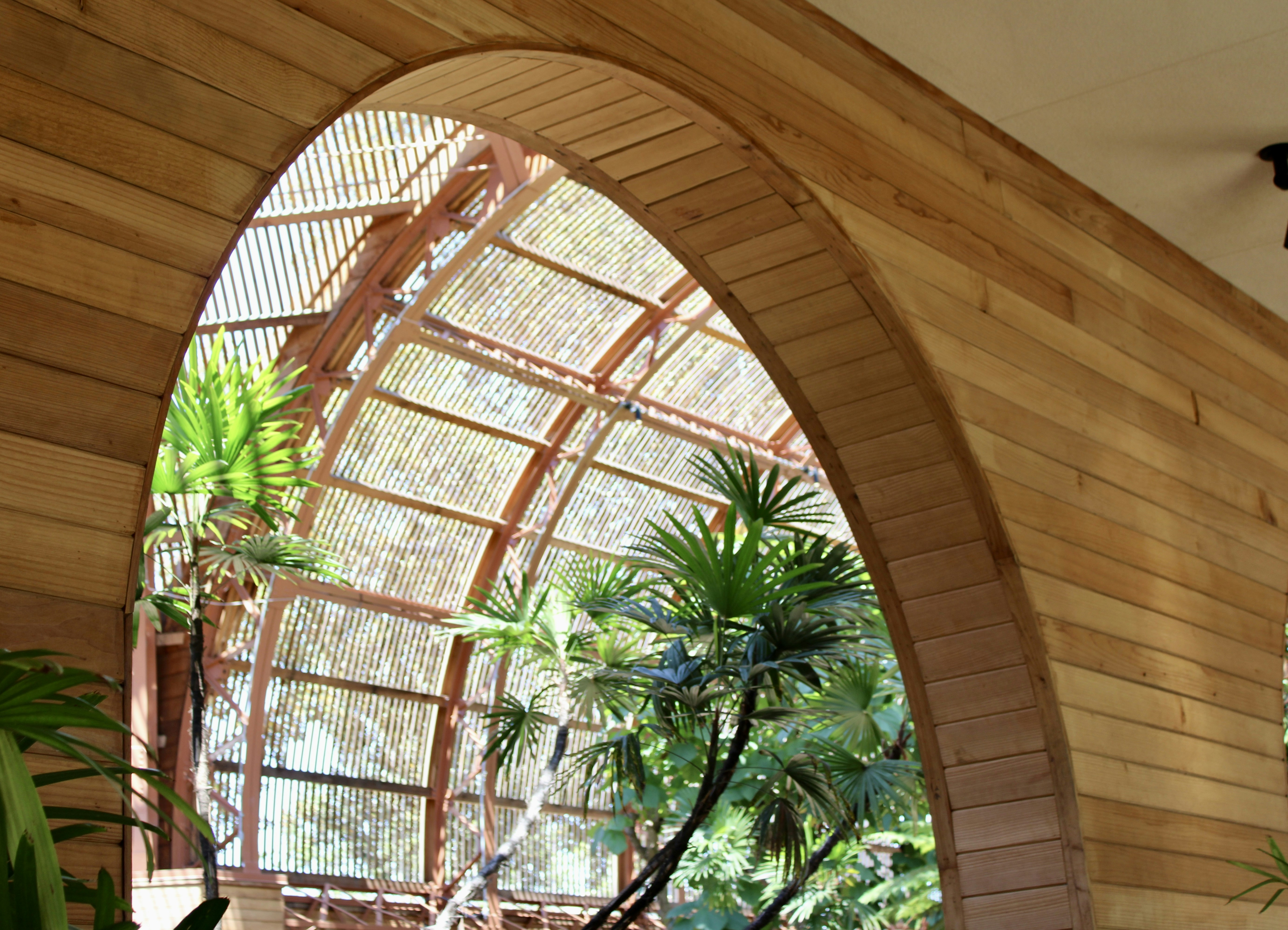 Nature's Embrace Through Architectural Curves