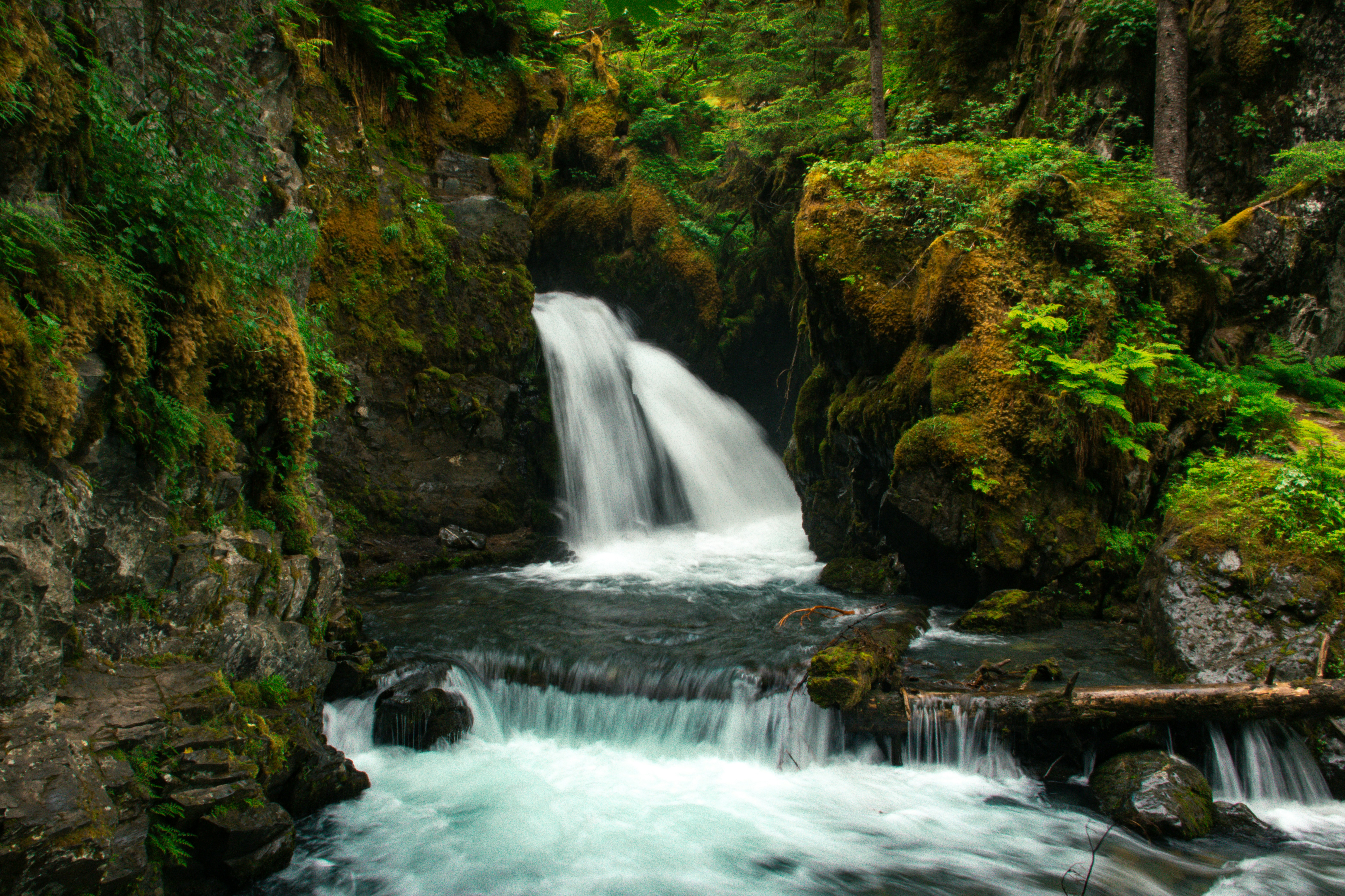 A serene waterfall flows through a lush green gorge, surrounded by moss-covered rocks and vibrant foliage.