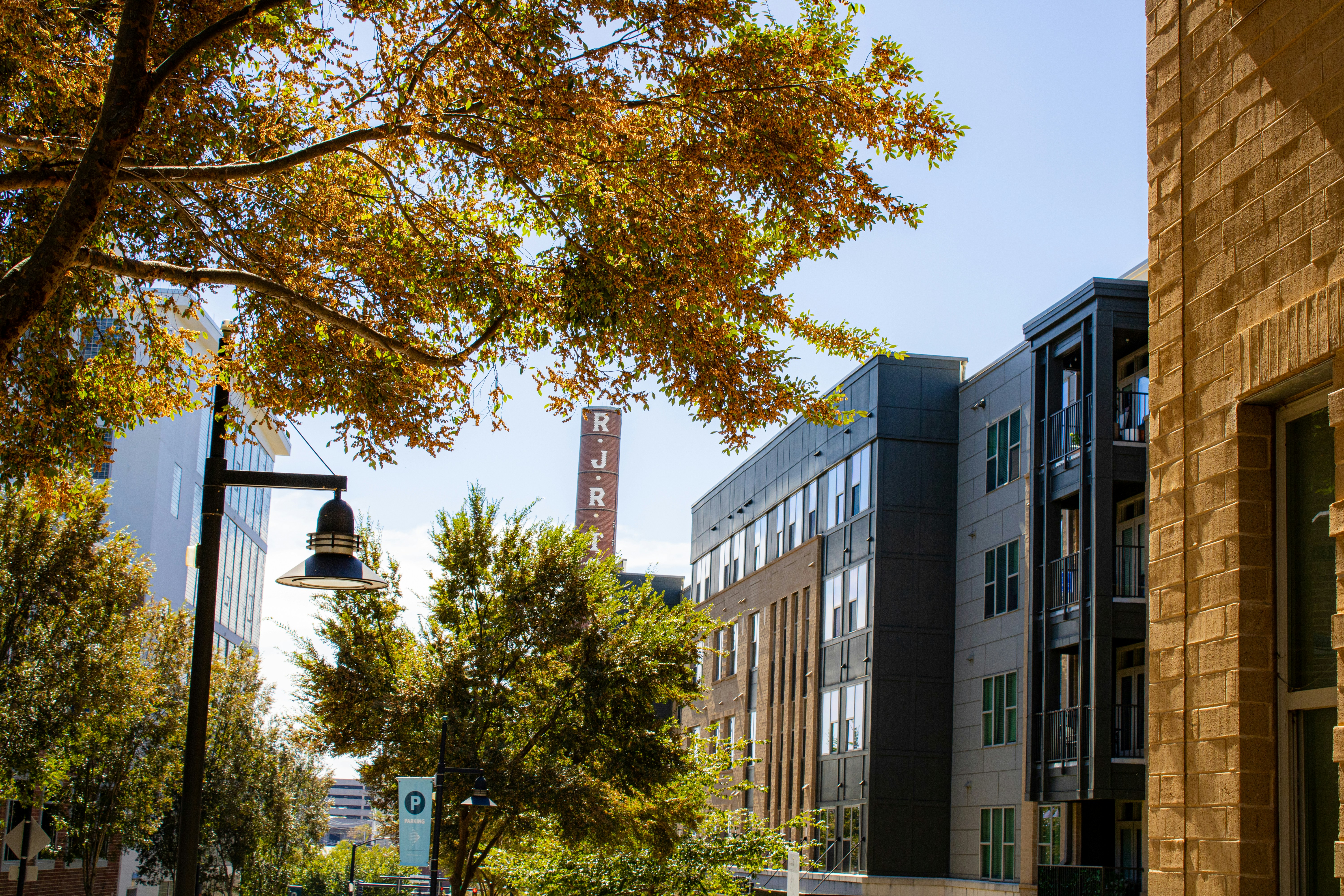 City buildings are framed by autumn leaves and a street lamp.