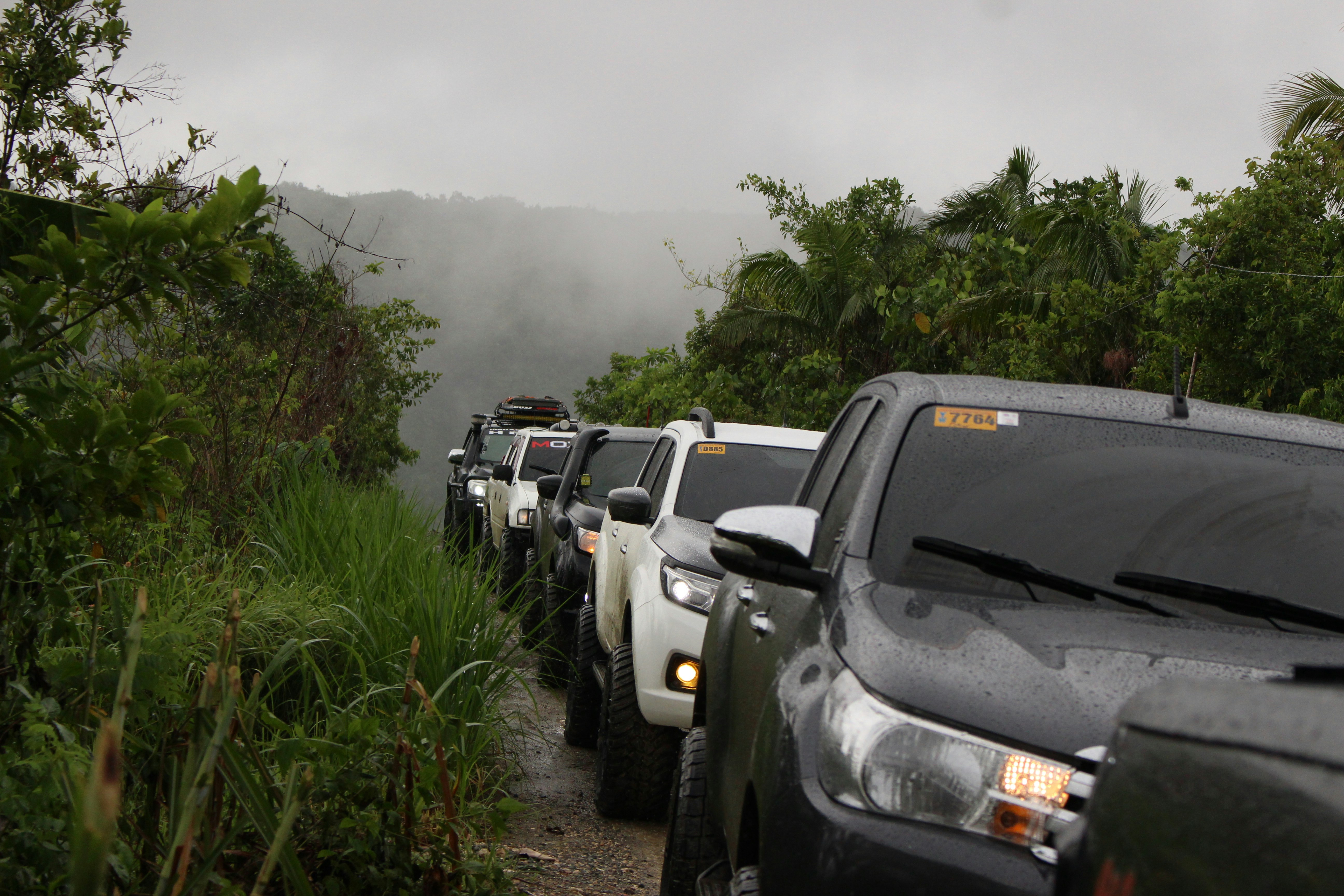 Journey Through the Mist: A Caravan of Adventure