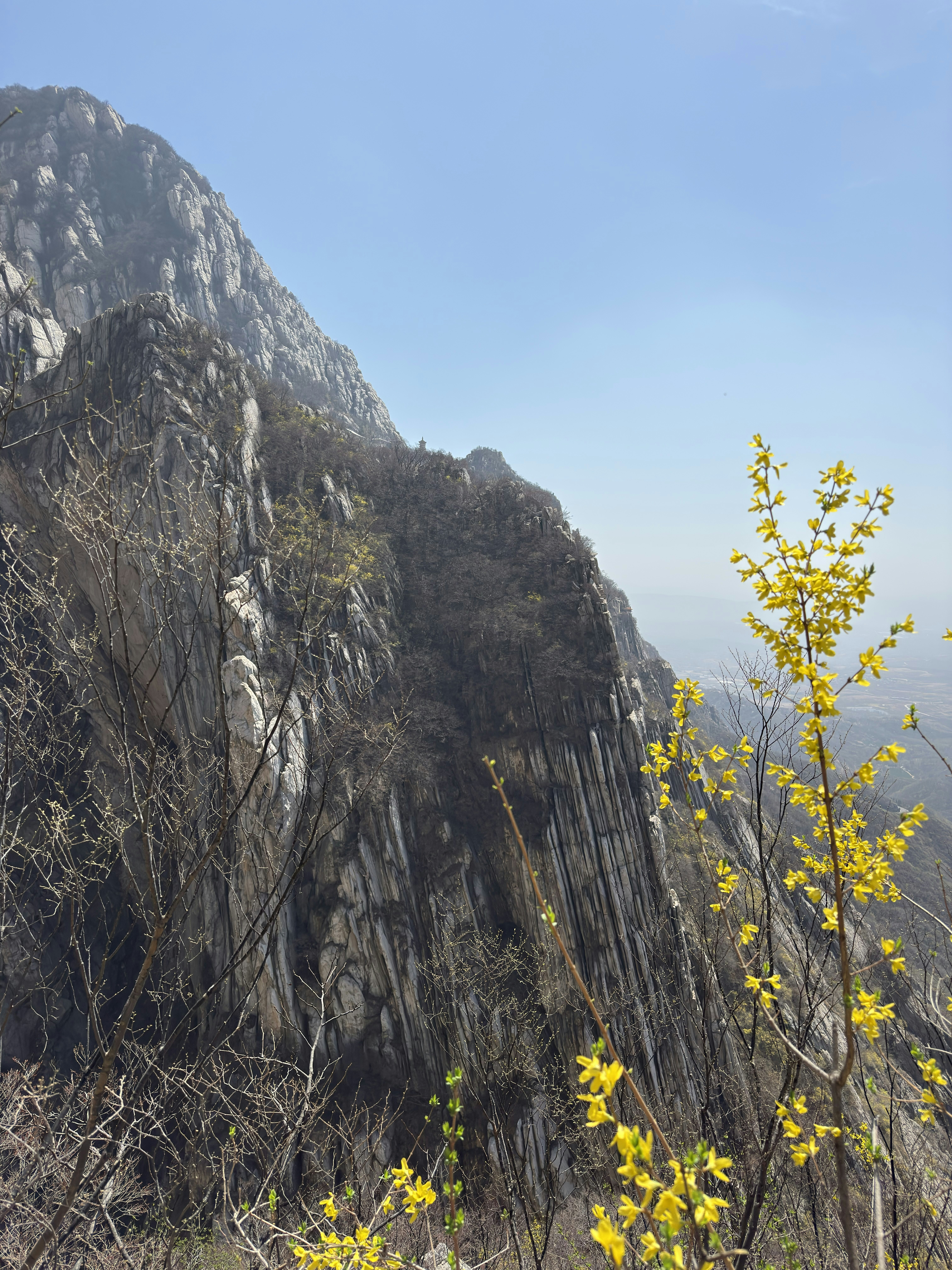 Whispers of Nature's Resilience