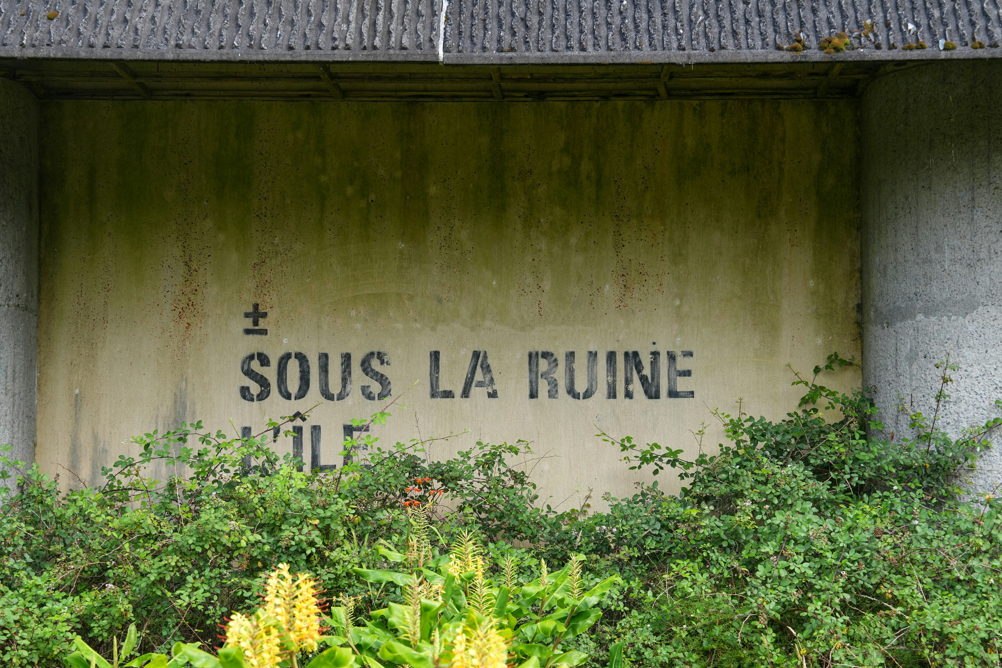 Faded text reading 'SOUS LA RUINE' partially obscured by lush greenery, conveying a sense of forgotten history.