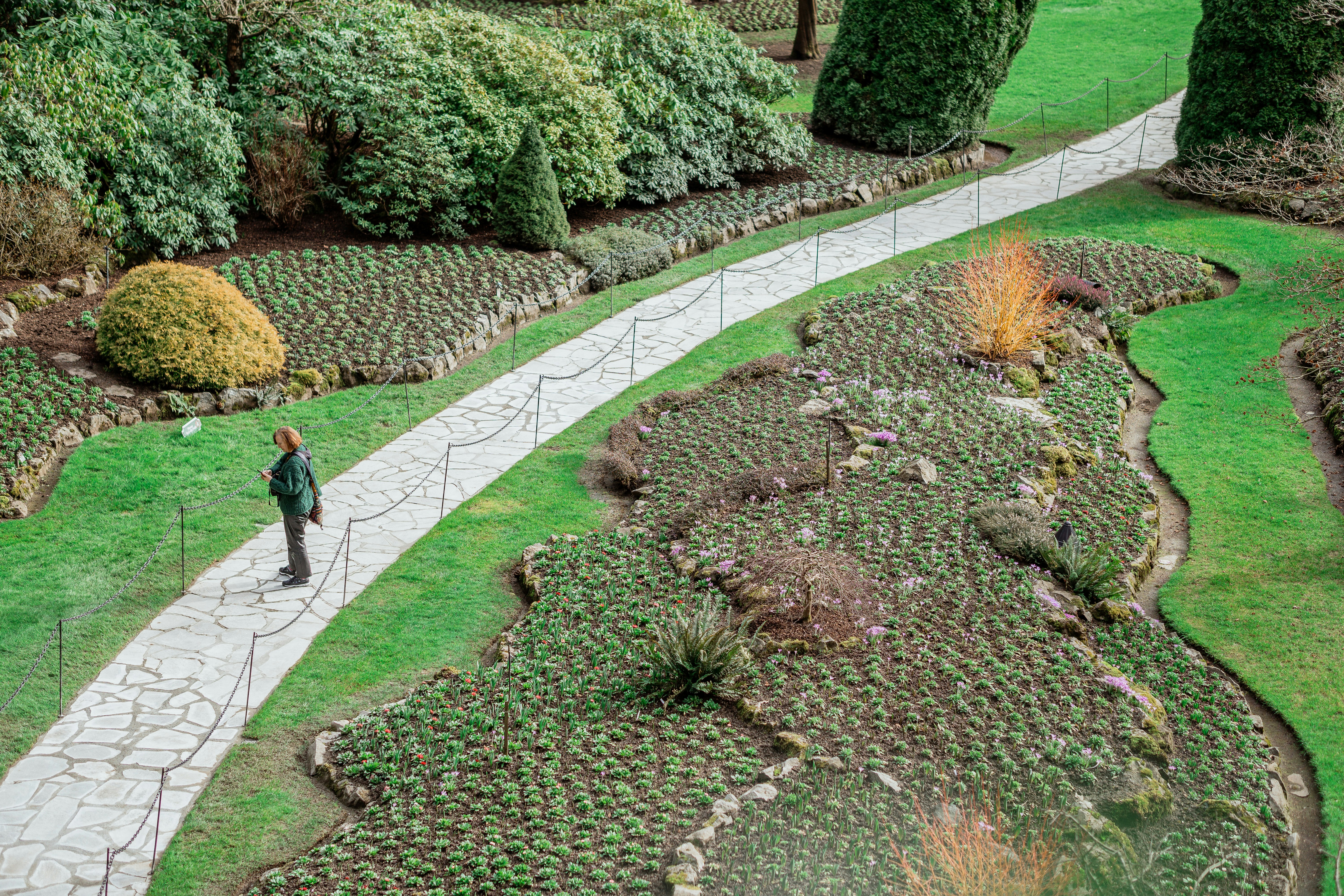 A person walks on a path in a garden.