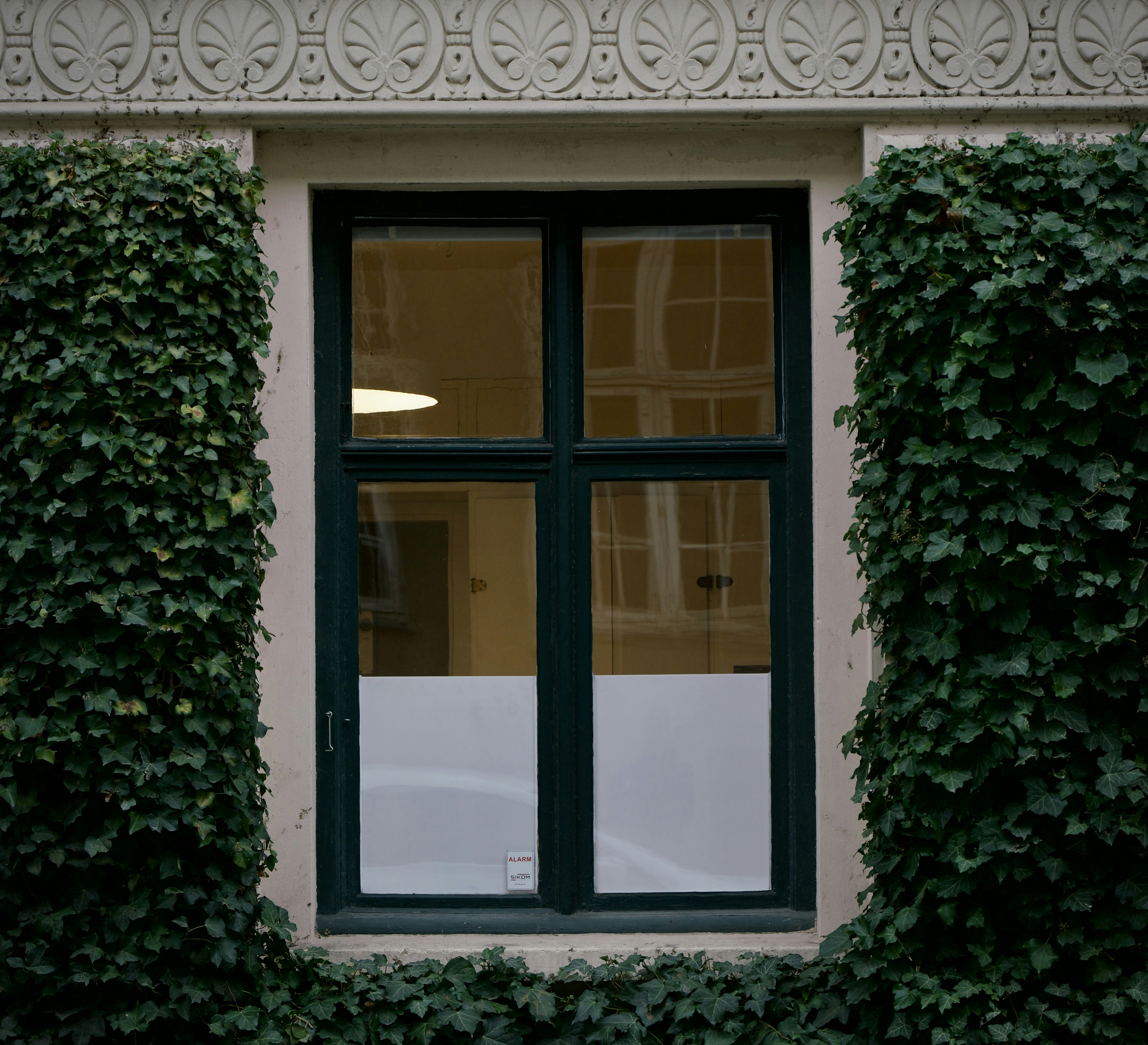 Nature's Embrace: A Window to Tranquility