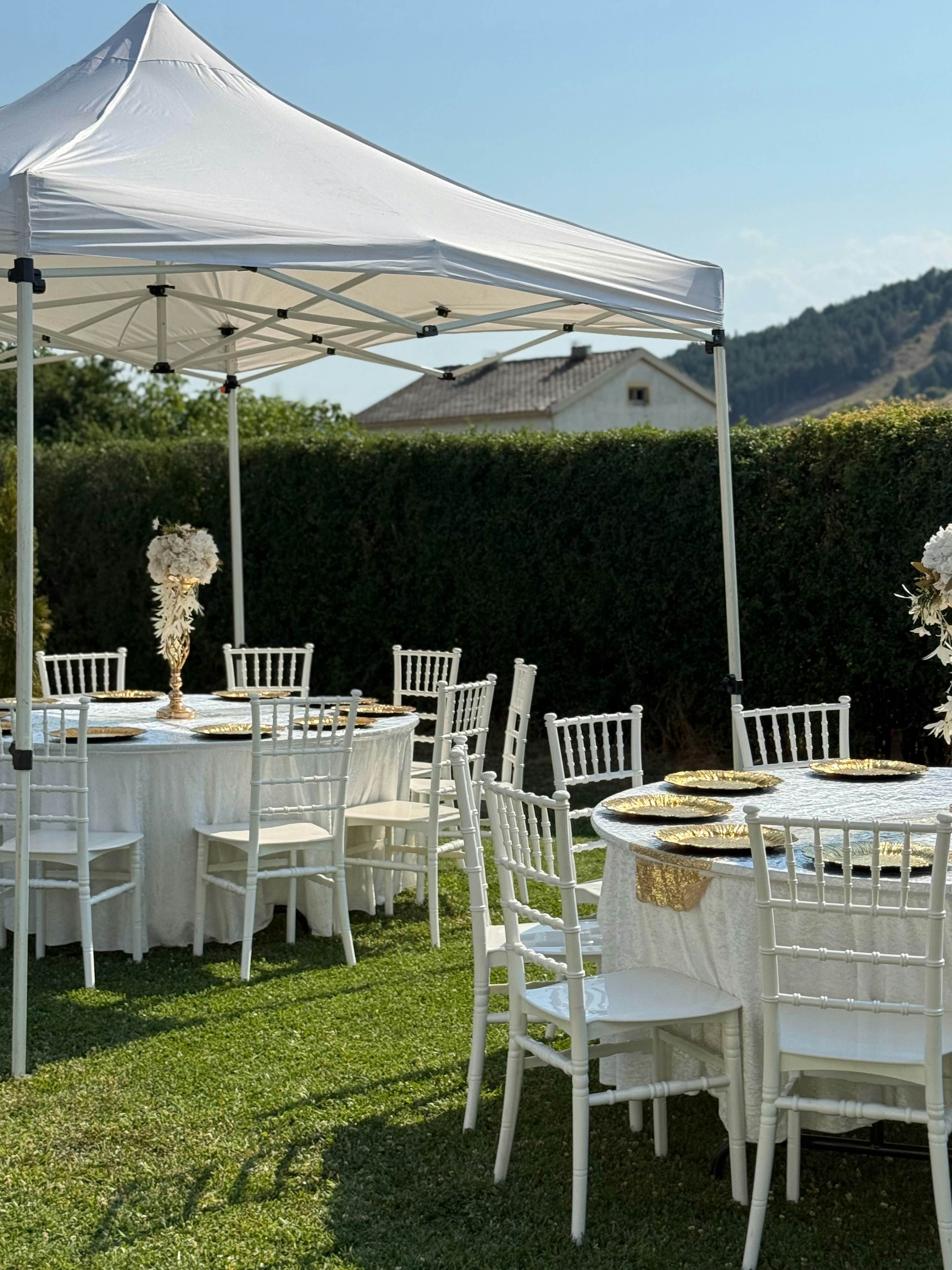Elegant Outdoor Gathering Under a Canopy