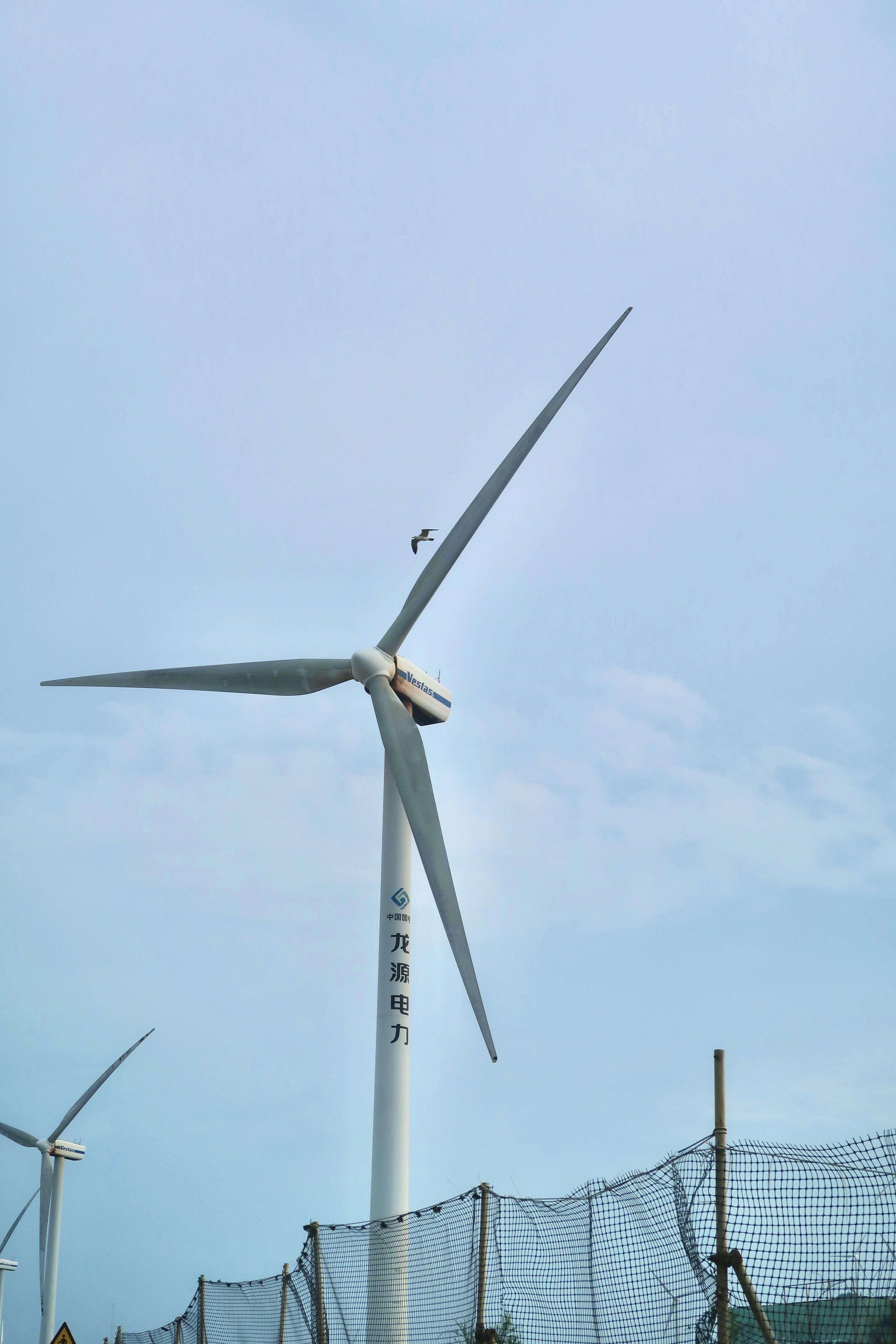 Harnessing the Wind: A Modern Energy Marvel