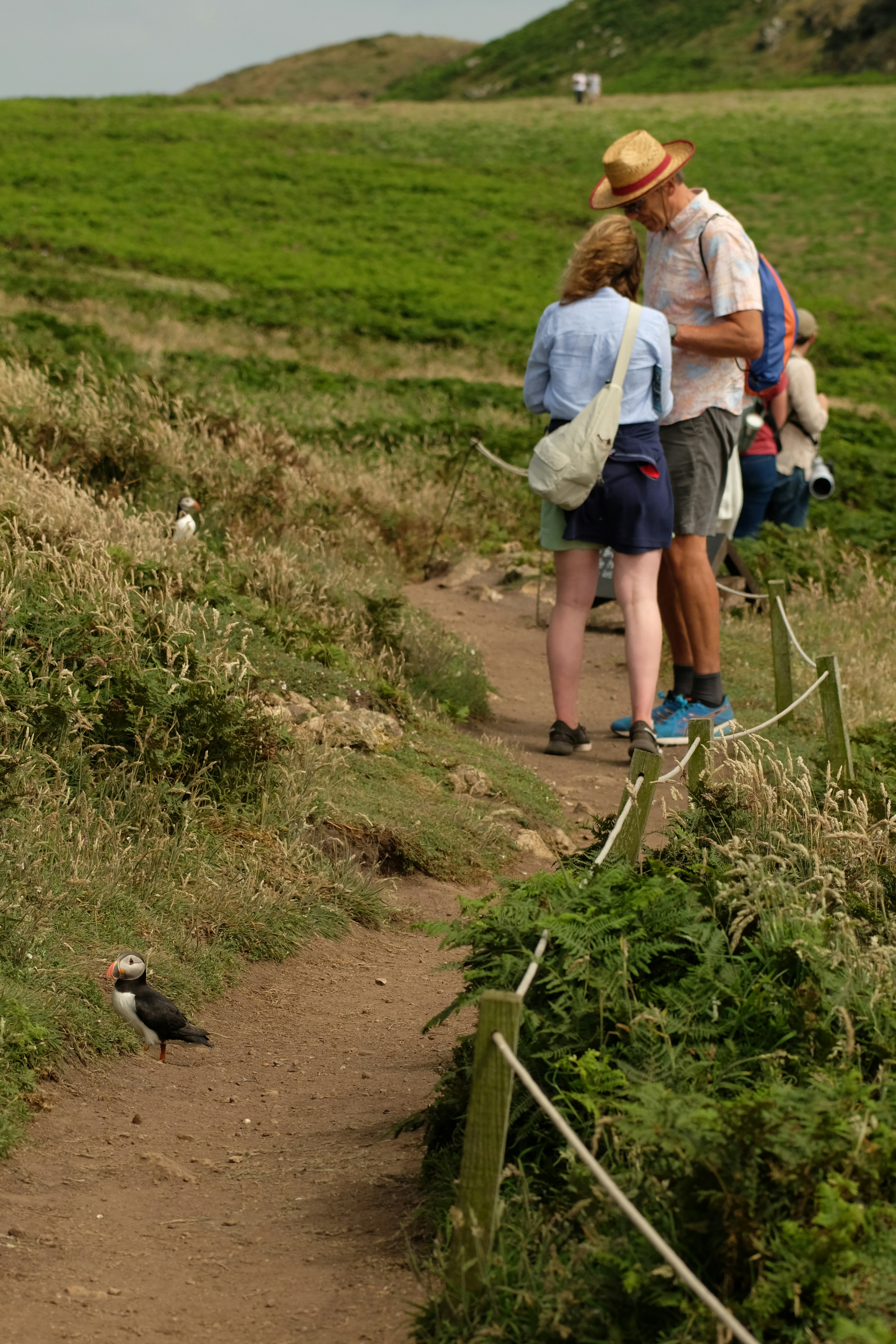 Straw-Hatted Conversation on a Coastal Path
