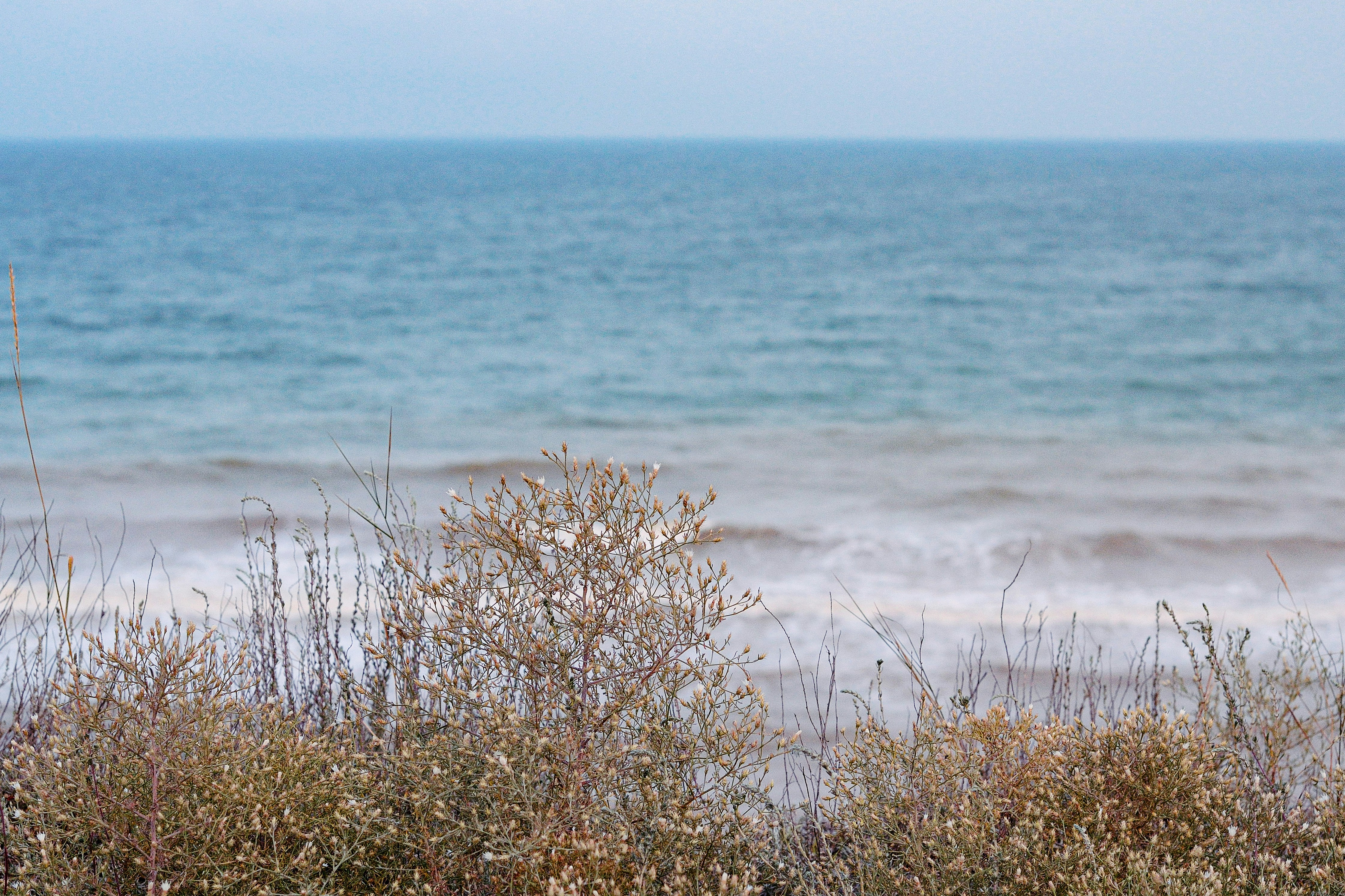 Whispers of the Tides: A Coastal Serenade