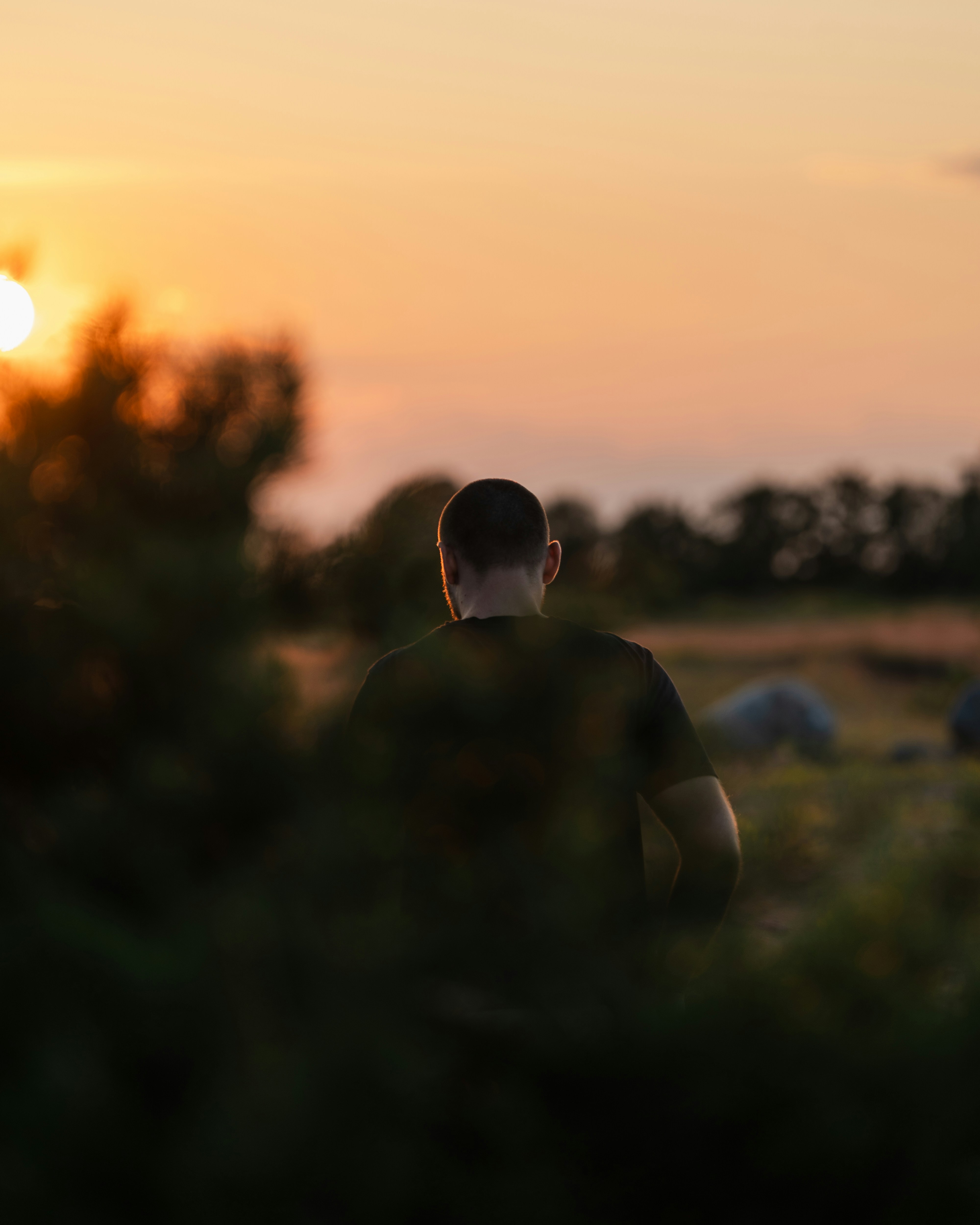 Silhouetted figure gazing into the horizon as the sun sets, surrounded by soft greenery. The scene captures a moment of introspection.