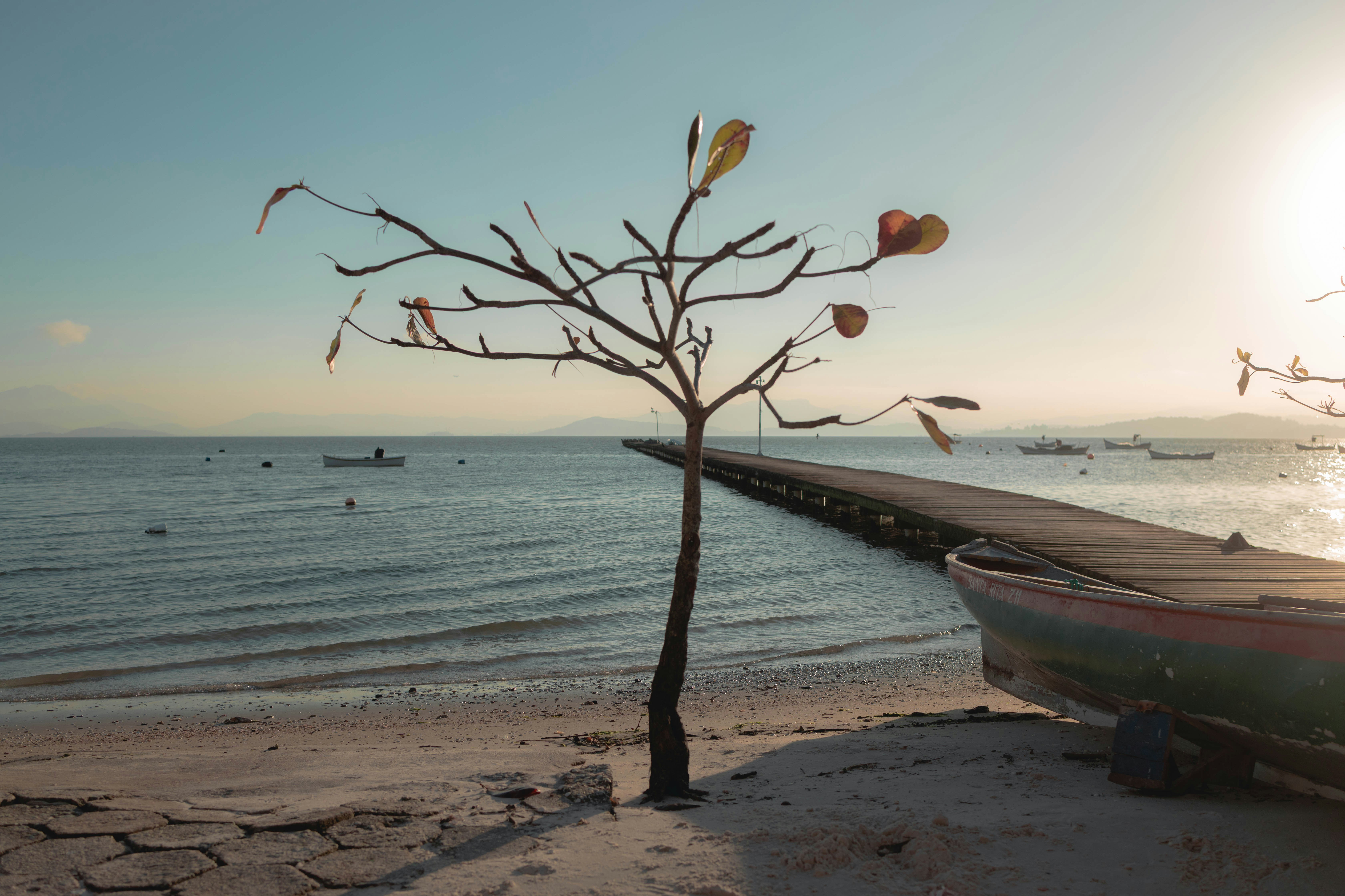 Whispers of Solitude: A Coastal Reflection