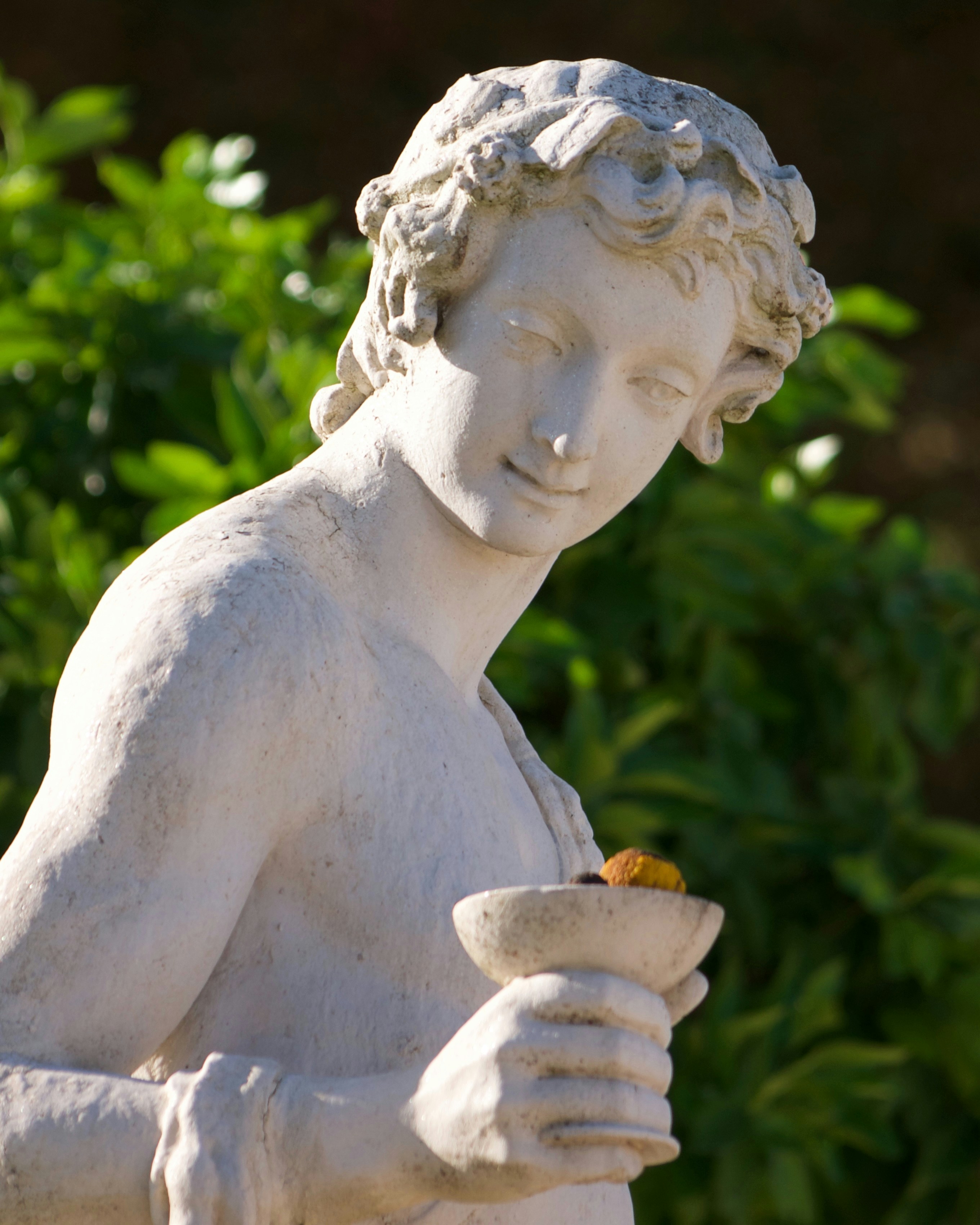 Whispers of Antiquity: A Stone Figure's Gaze