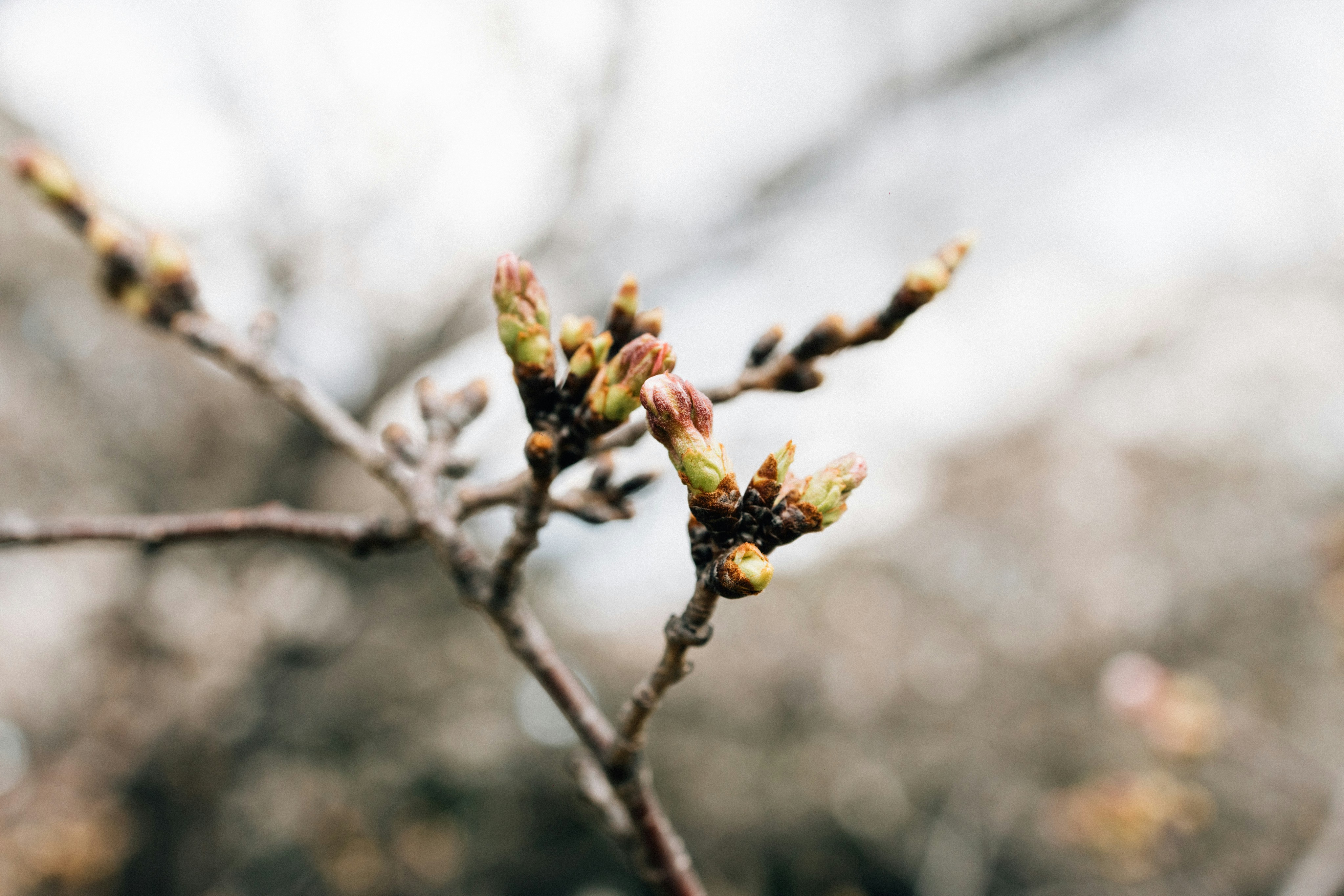 Tsuyoshi Kozu (@tsuyoshikozu) | Unsplash Photo Community