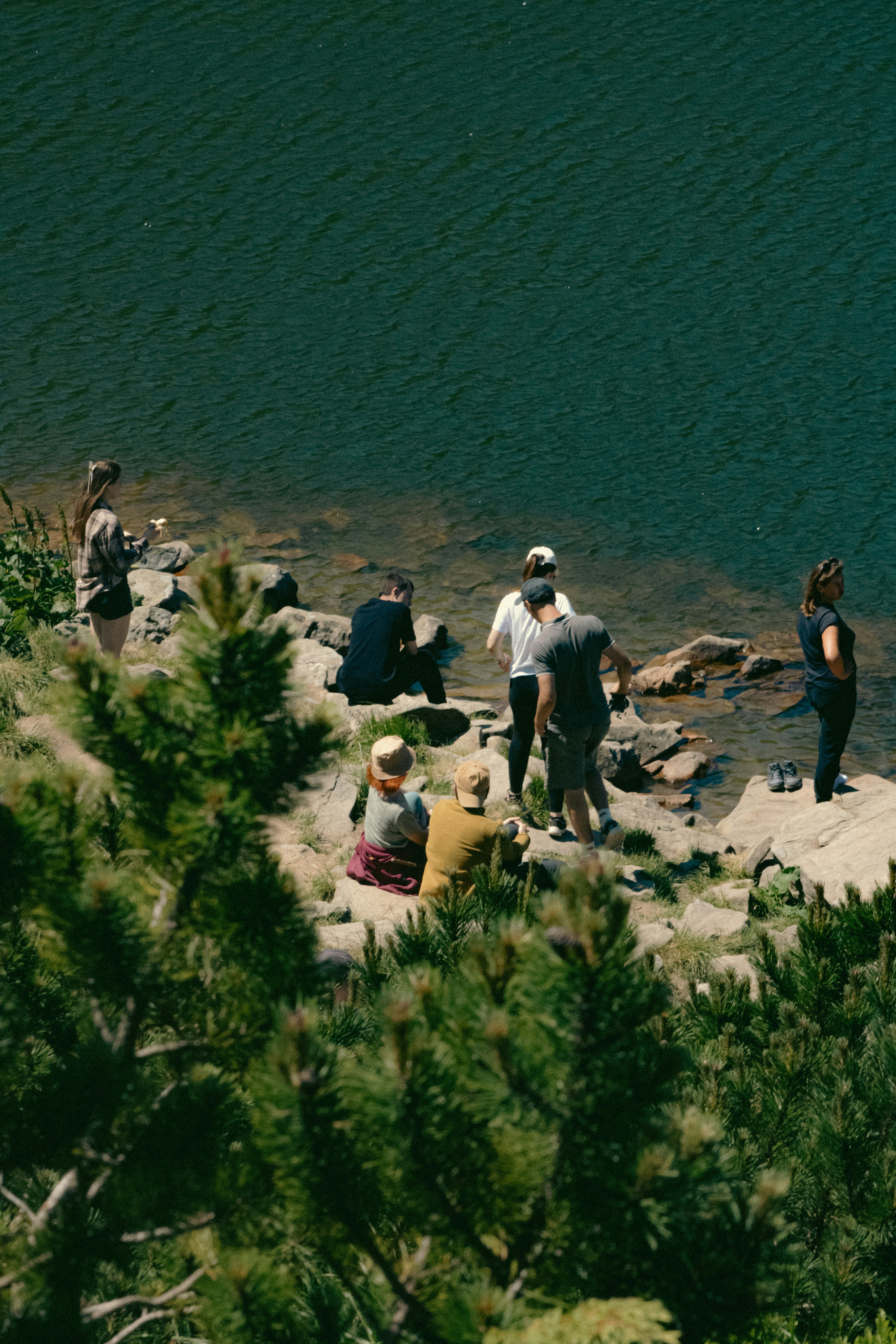 Emerald Shoreline: A Quiet Circle by the Rocky Riverside