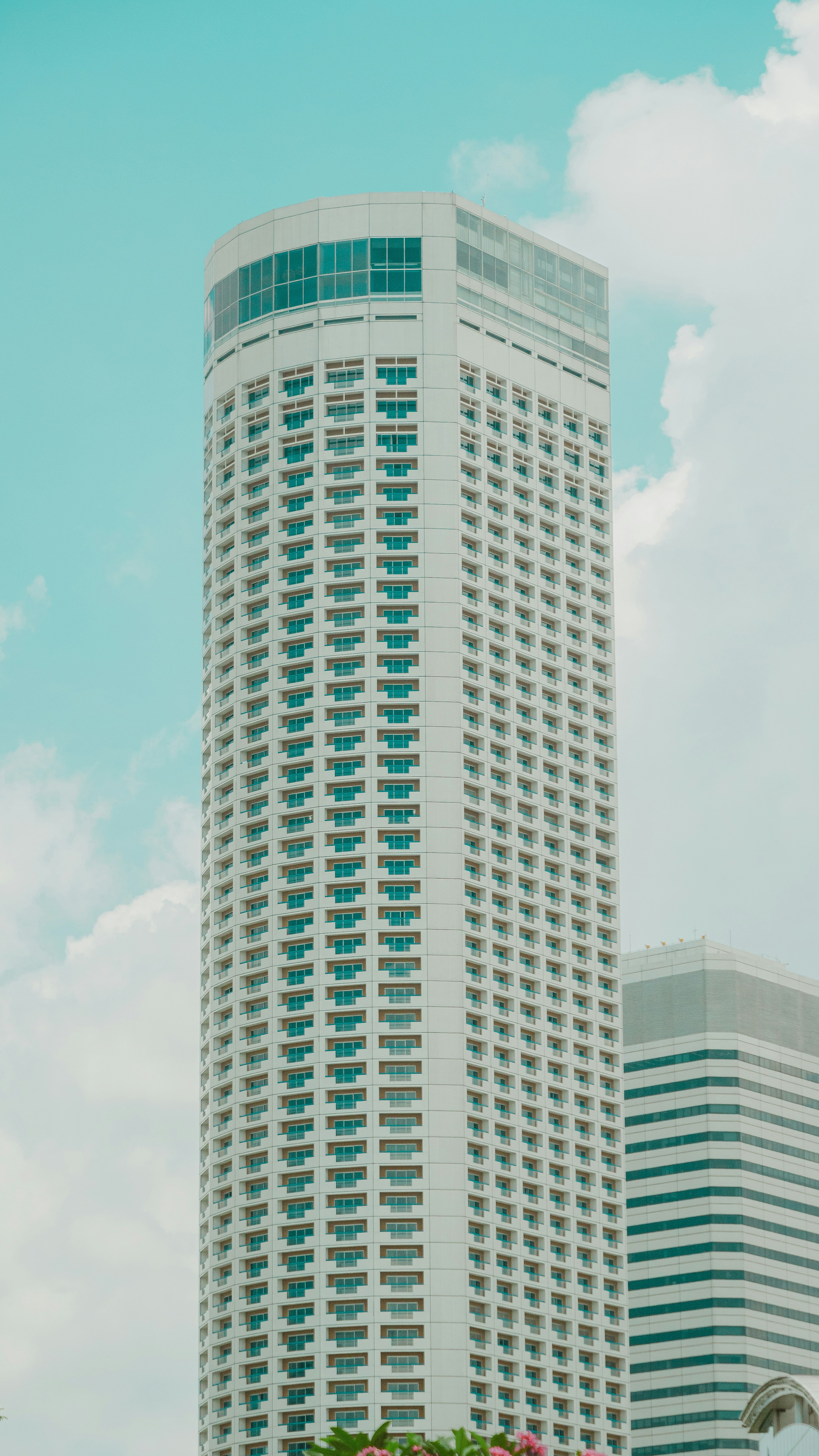 Vertical Elegance: A Modern Architectural Marvel
