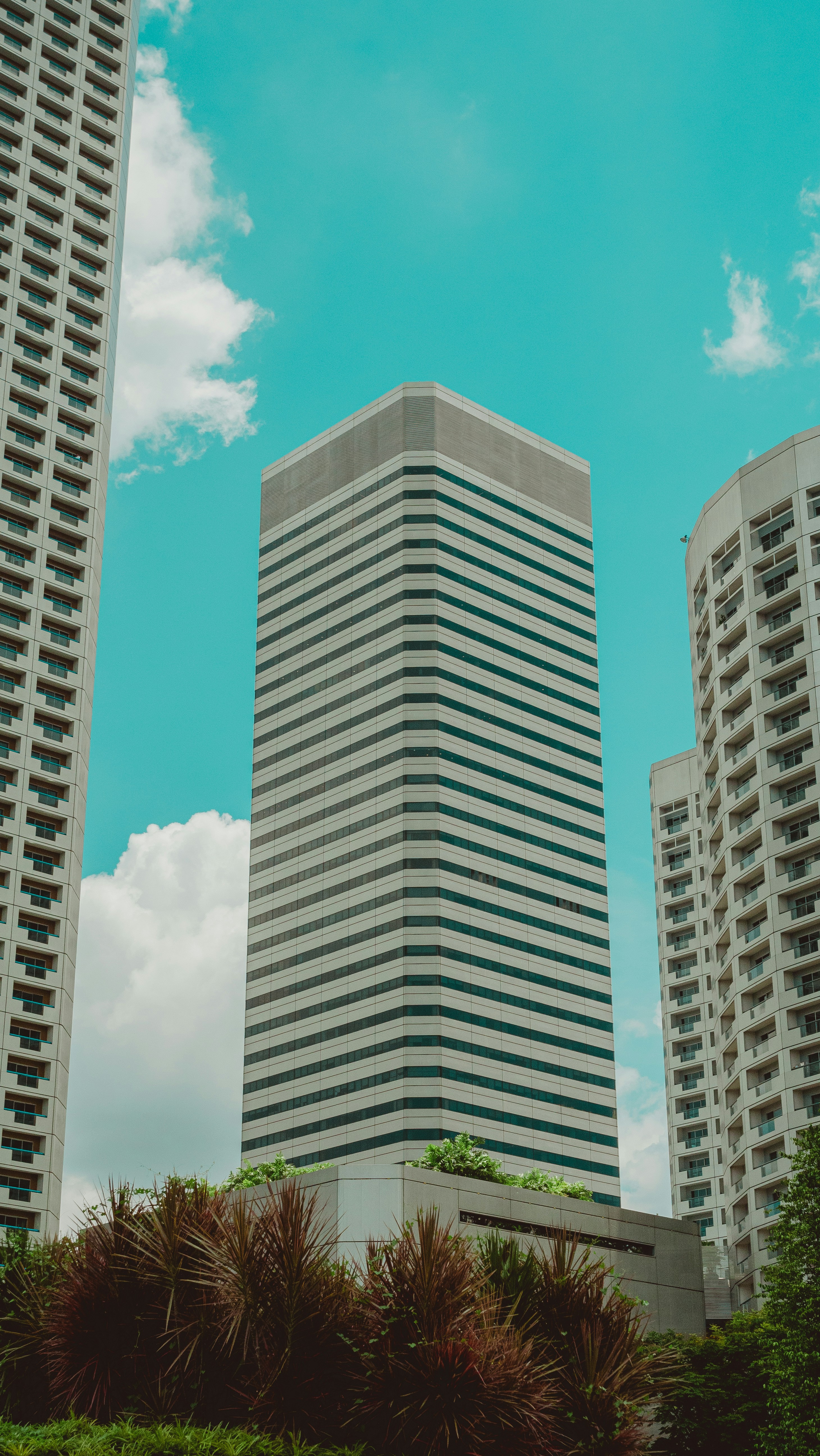 Skyscrapers tower against a bright blue sky.