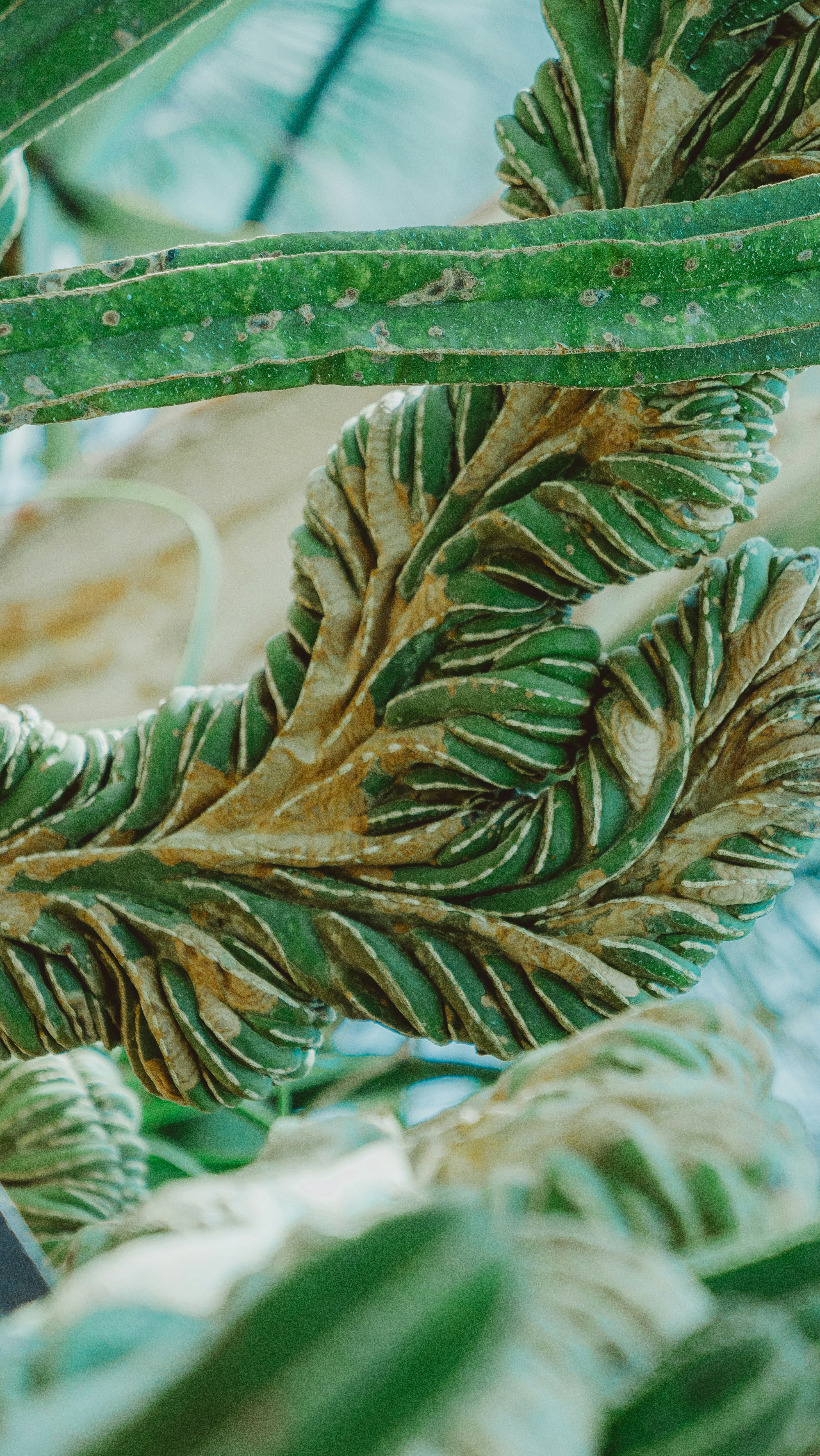 Photo by Hanna Lazar with Panasonic Lumix GH5