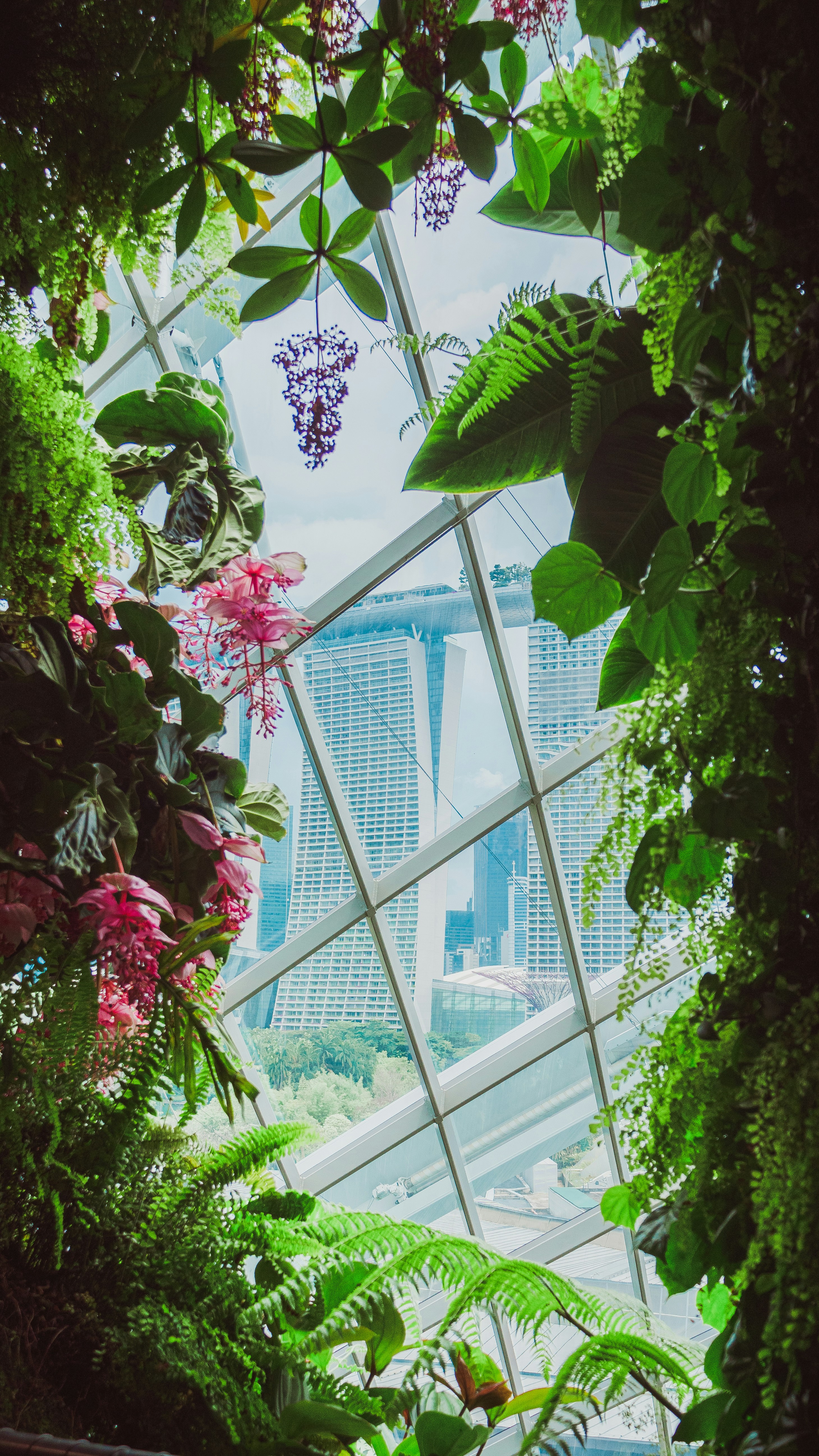 Urban Oasis: Nature's Embrace of Modern Architecture