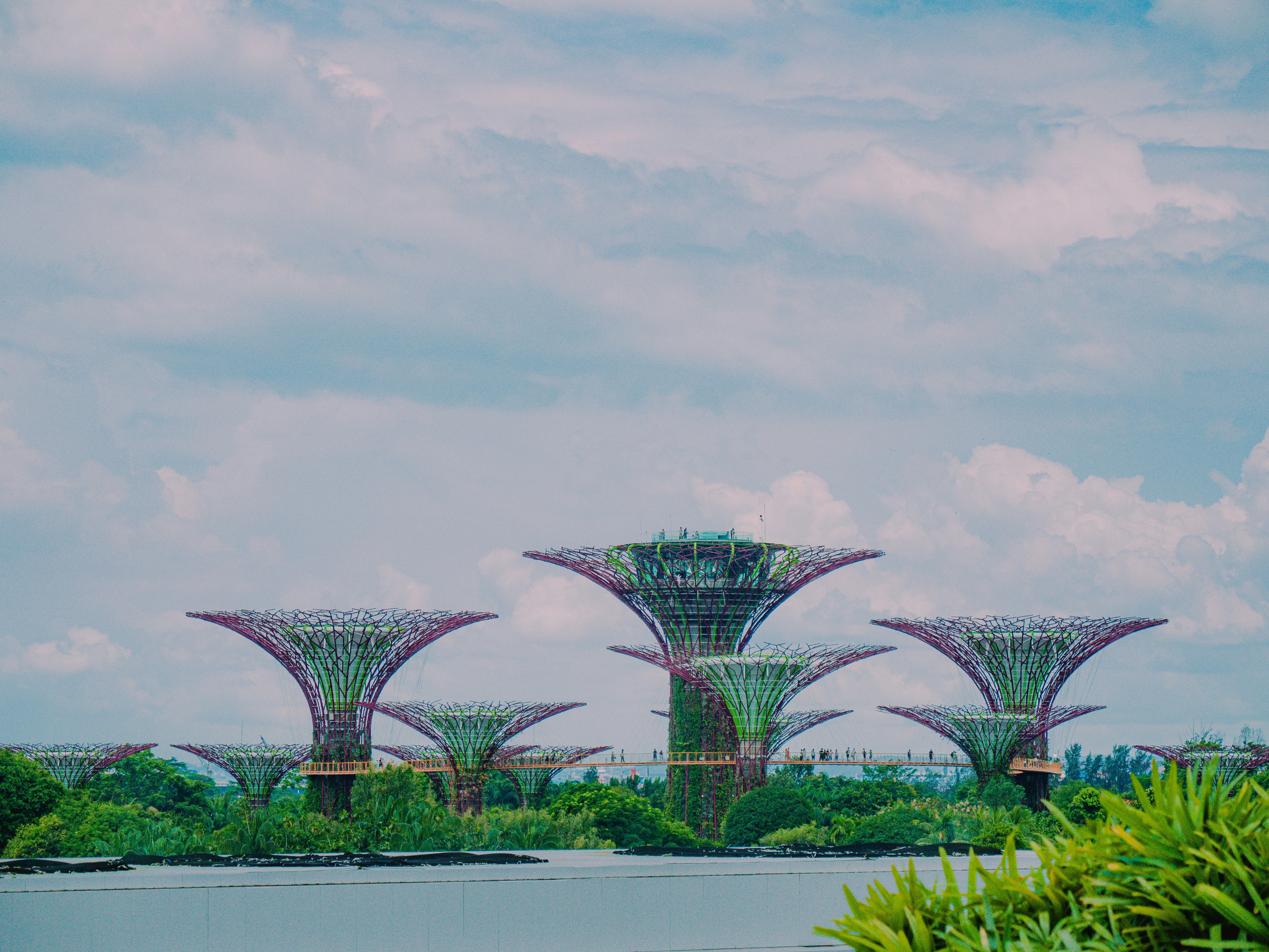 Urban Canopy: Nature Meets Innovation
