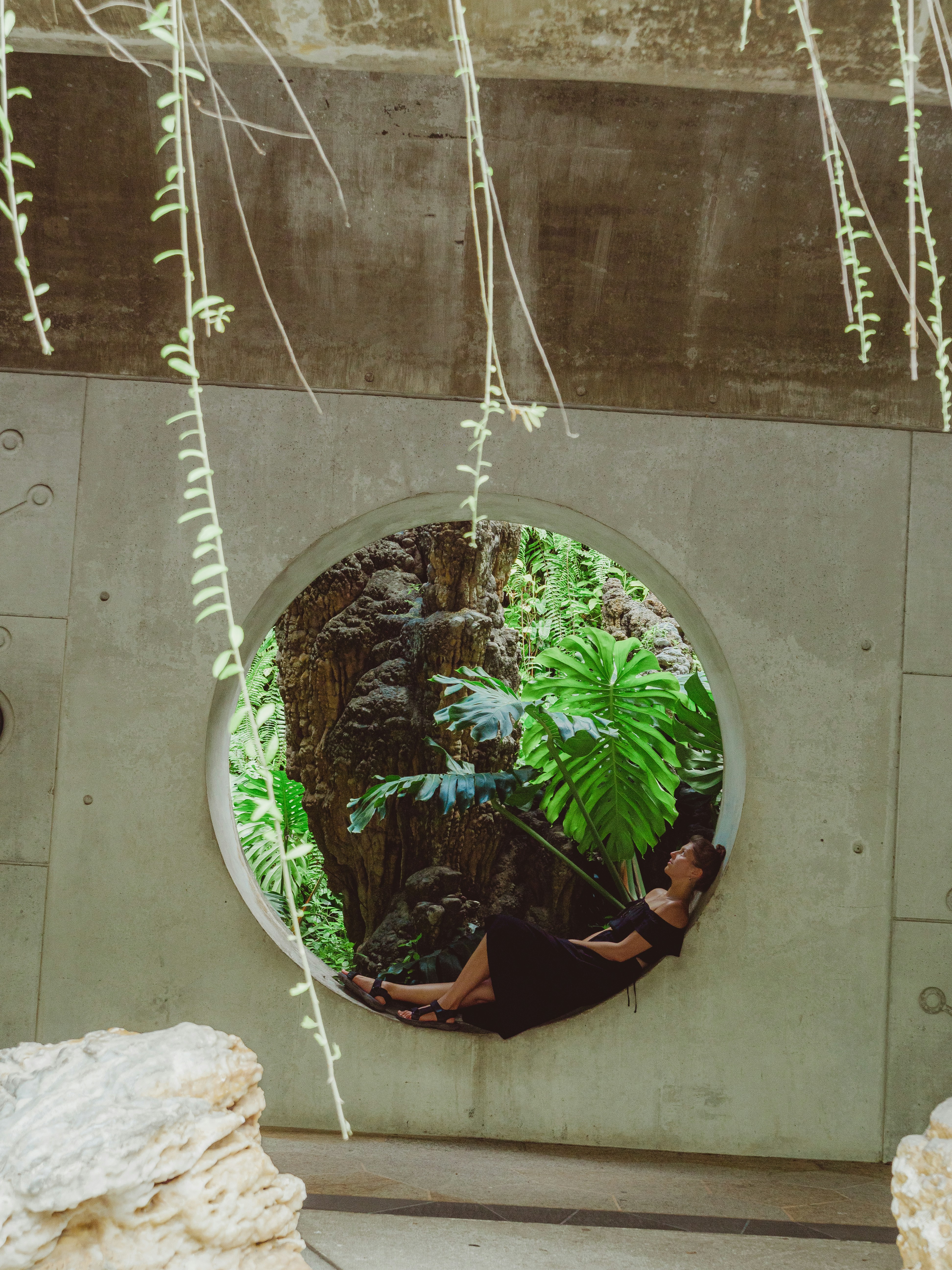 Circle Window to the Green: A Quiet Pause Inside Concrete