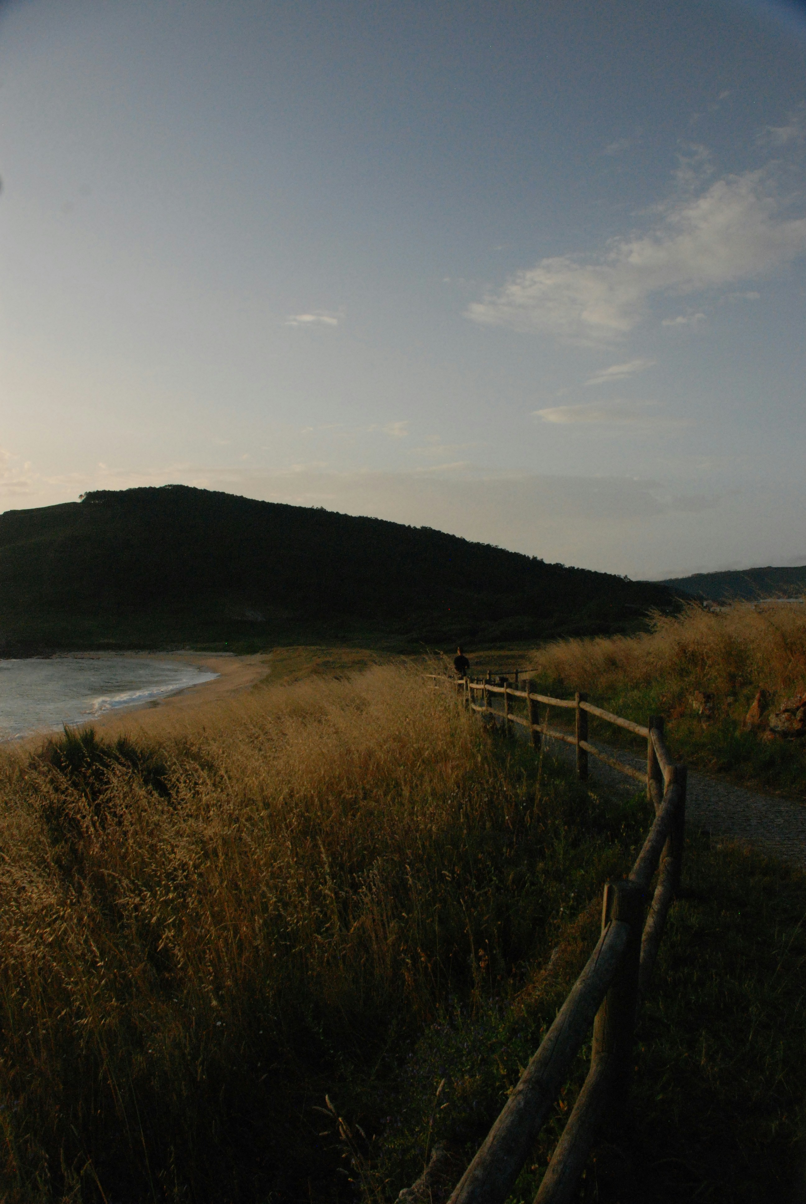 Whispers of the Shoreline