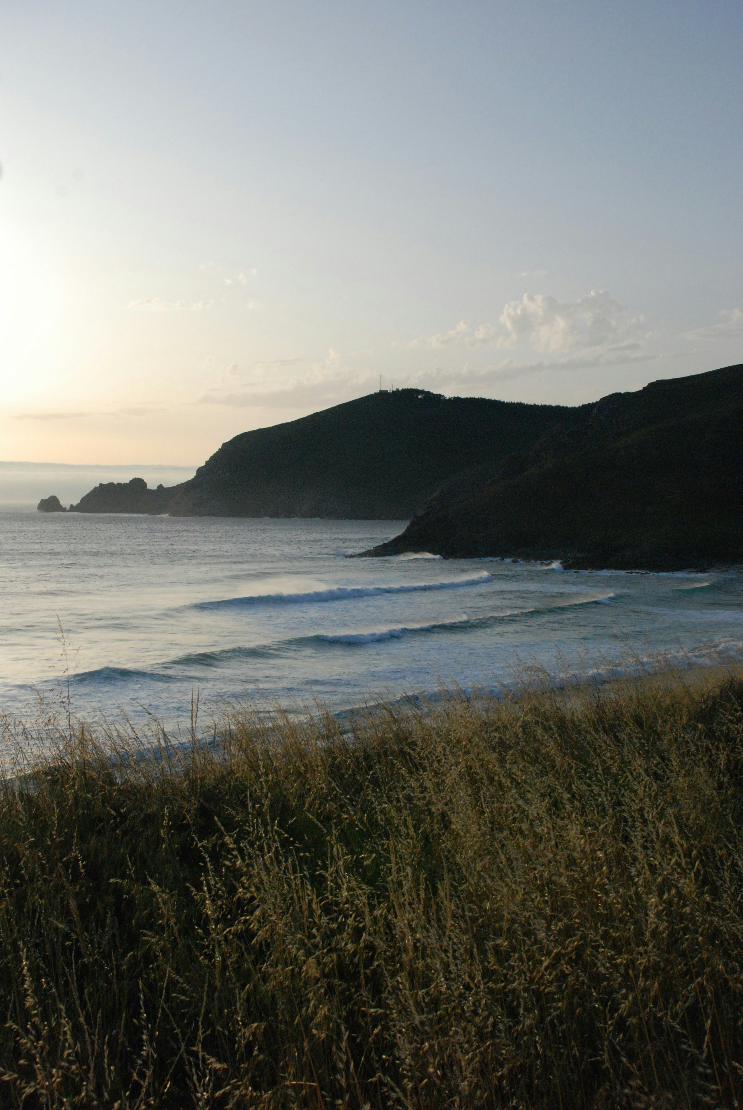 Whispers of the Ocean's Edge