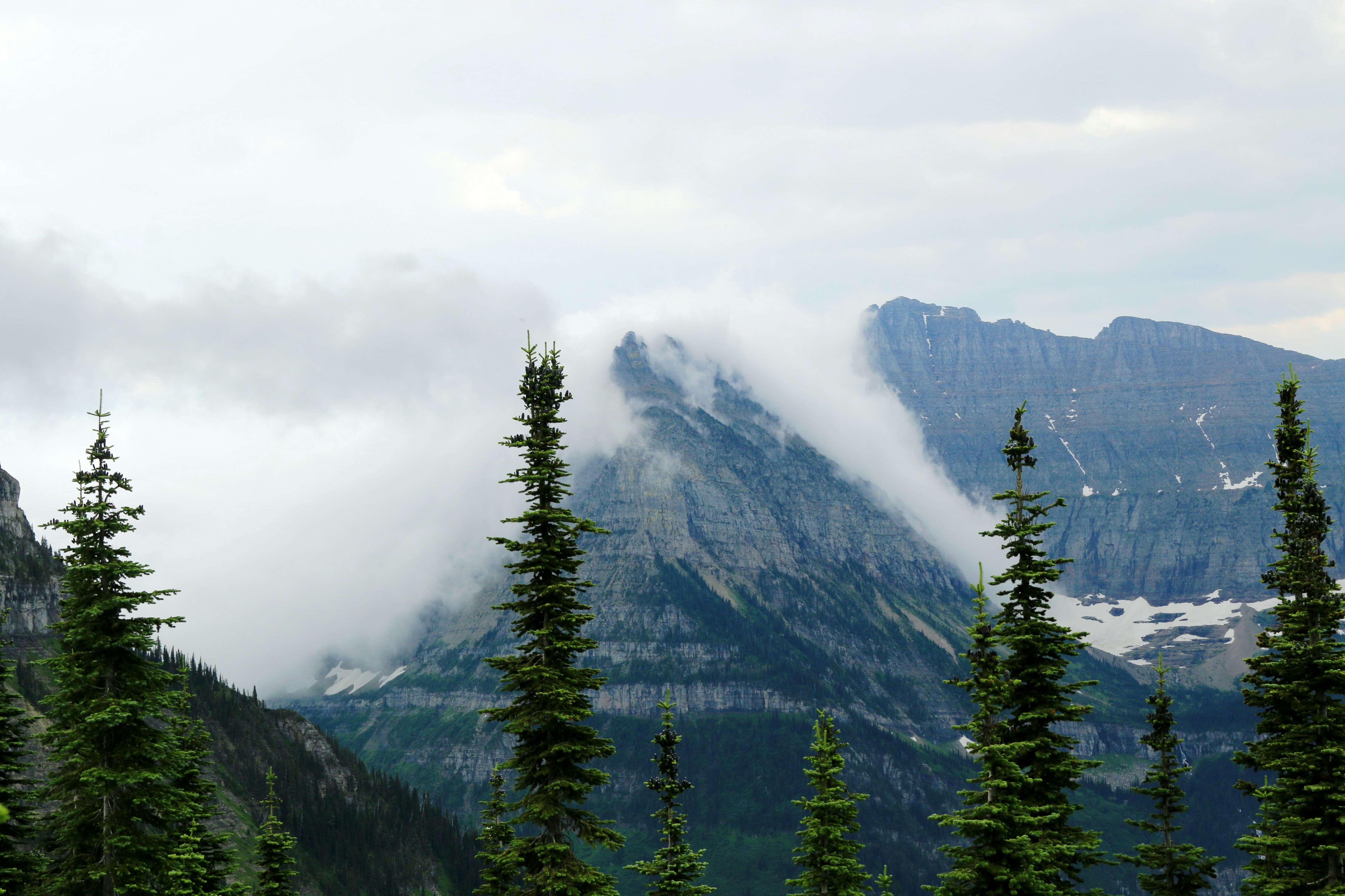 Lush evergreen trees frame a rugged mountain landscape, where clouds gently caress the peaks, creating a serene and mystical atmosphere.