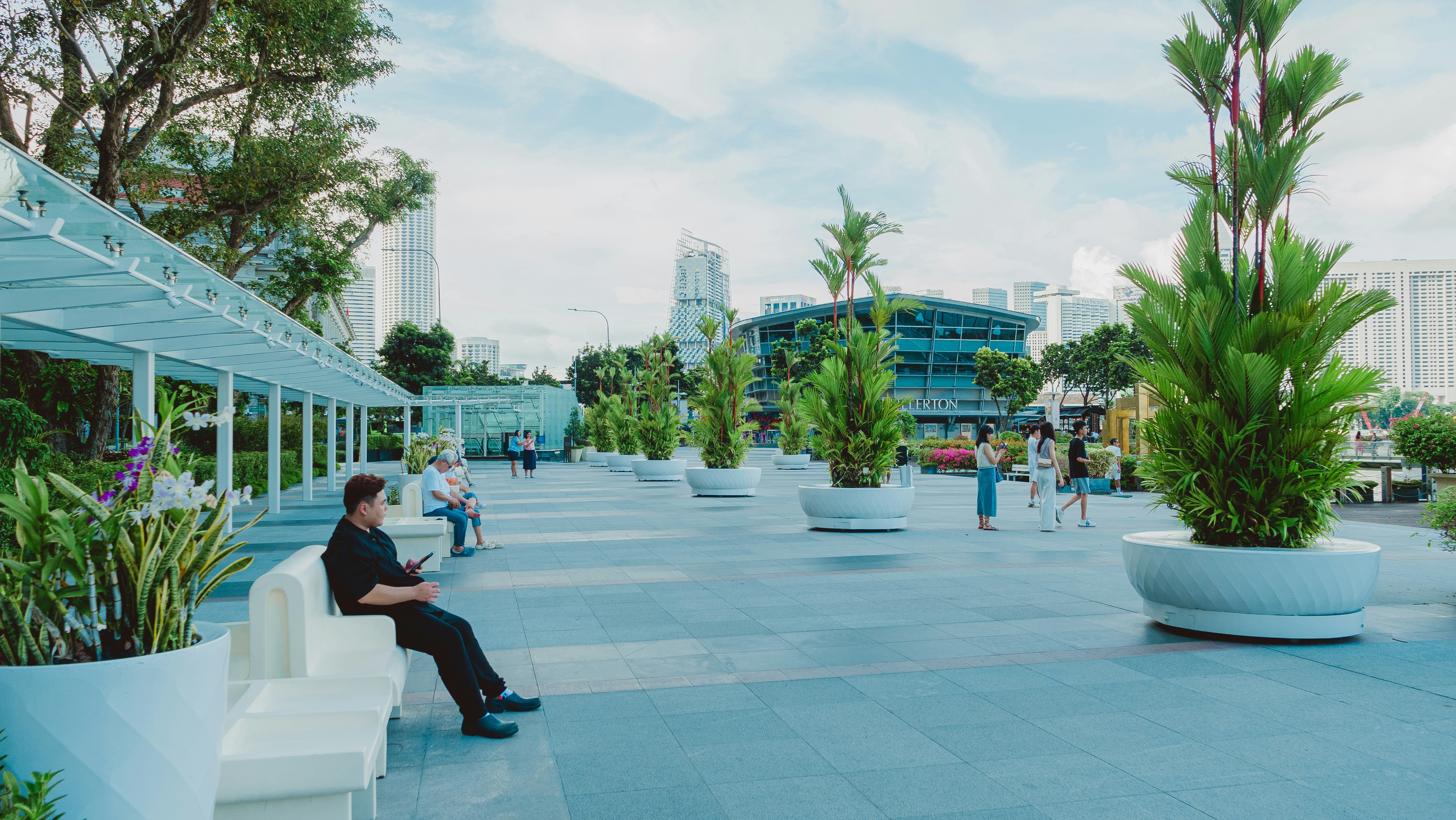 Urban Terrace: A Quiet Moment Among Tall Planters and Skyward Glass