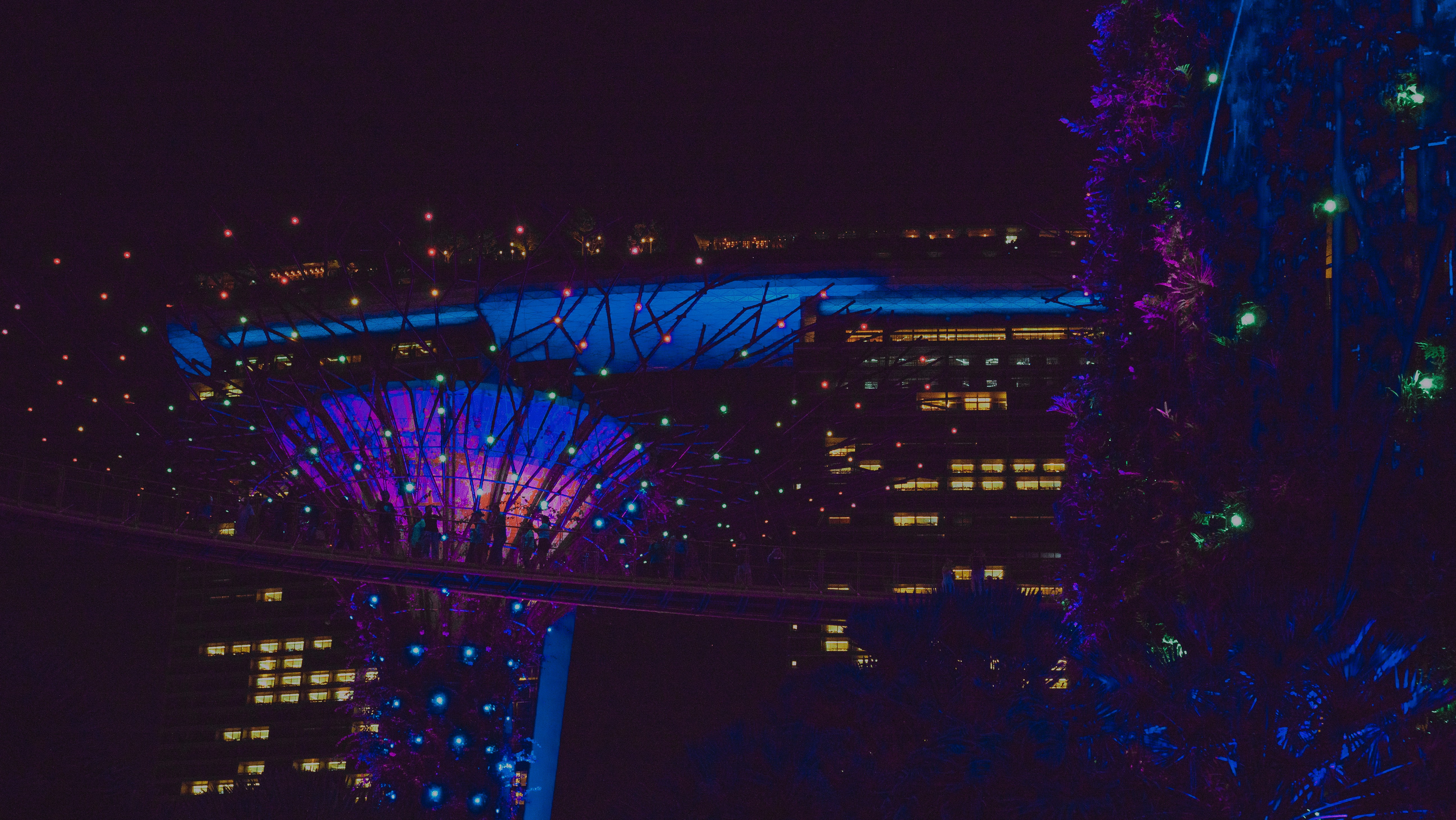 Neon Canopy: A Night in the Urban Jungle