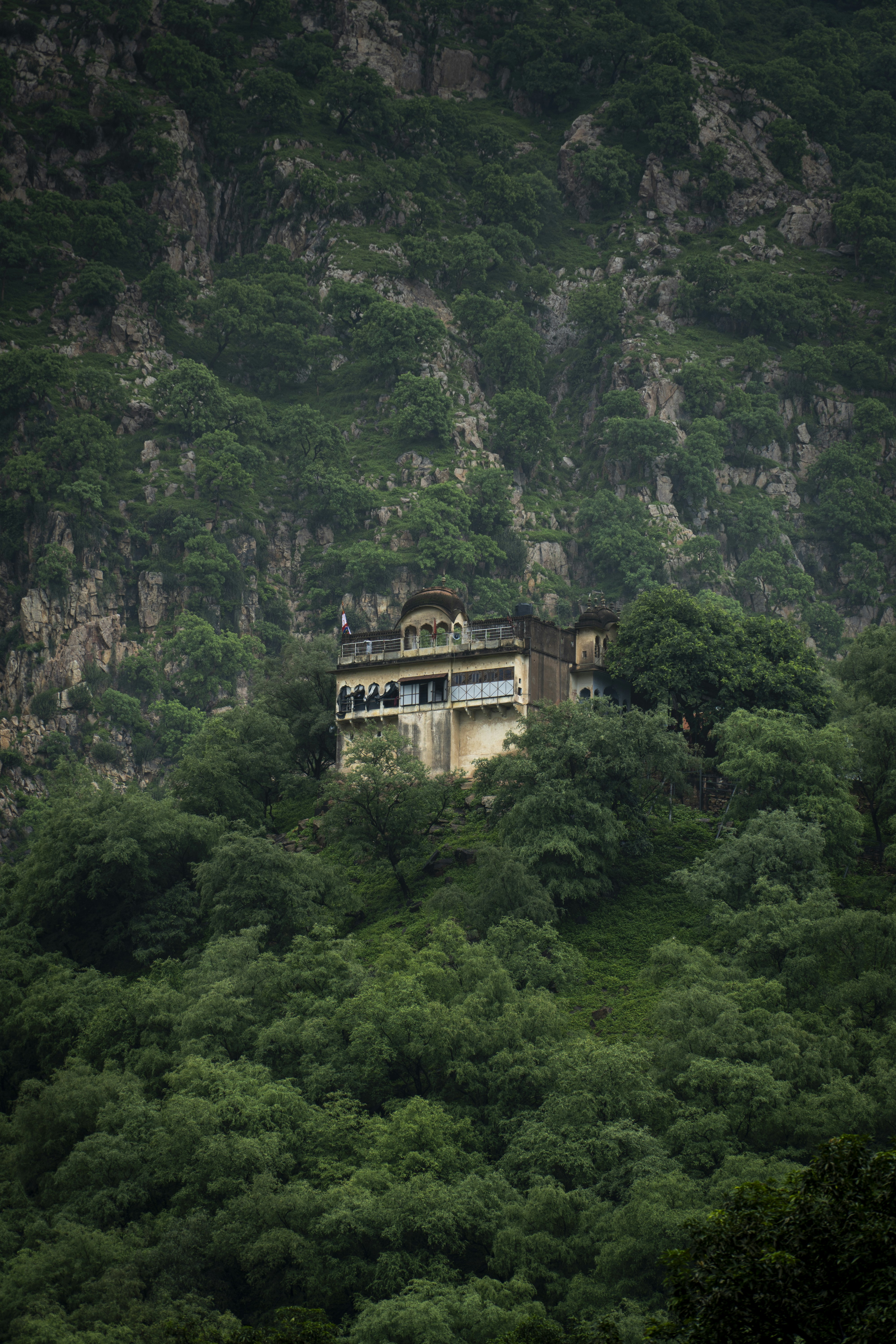 A building is nestled amongst lush green trees.