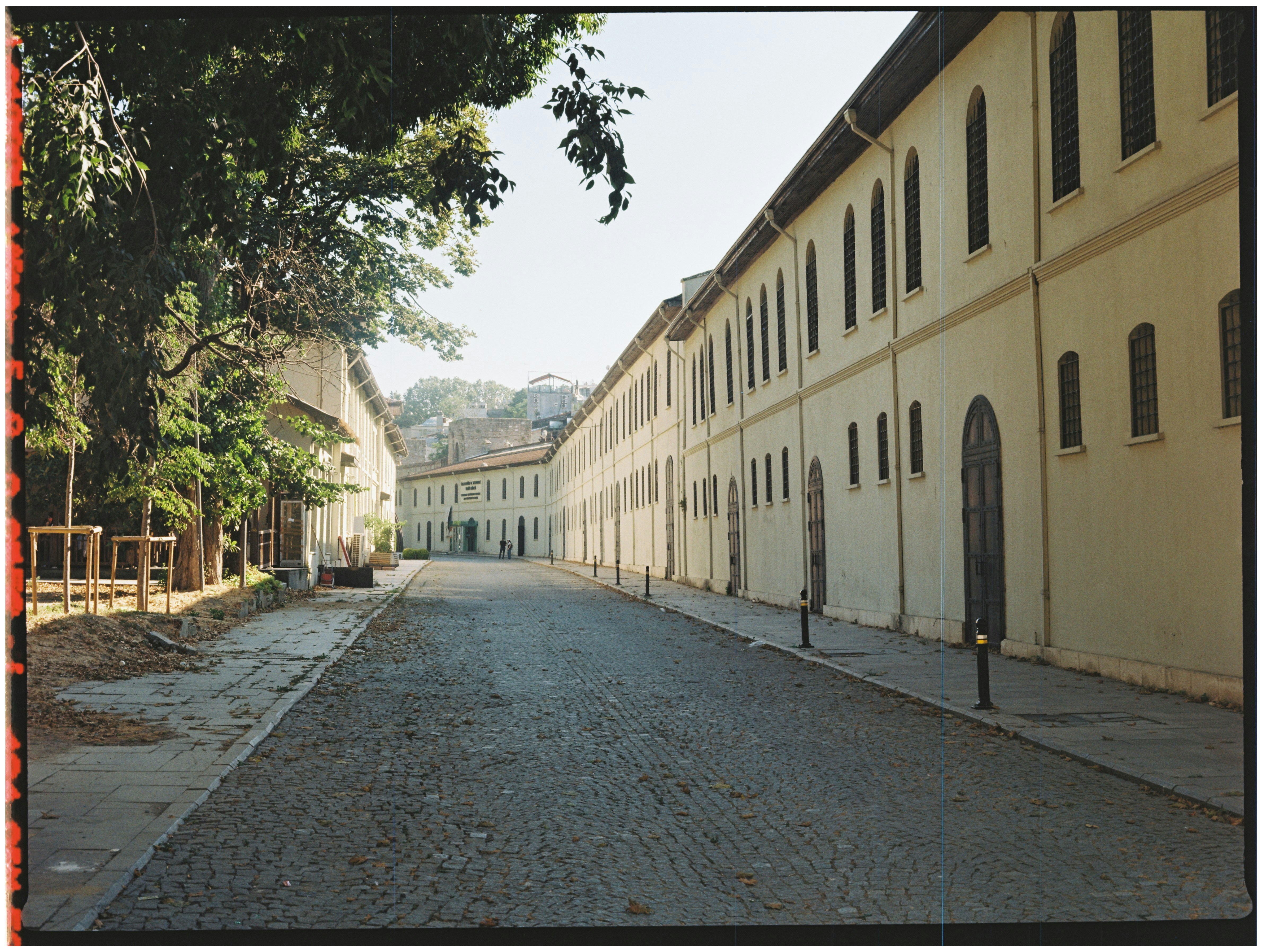 Whispers of History: A Serene Cobblestone Path