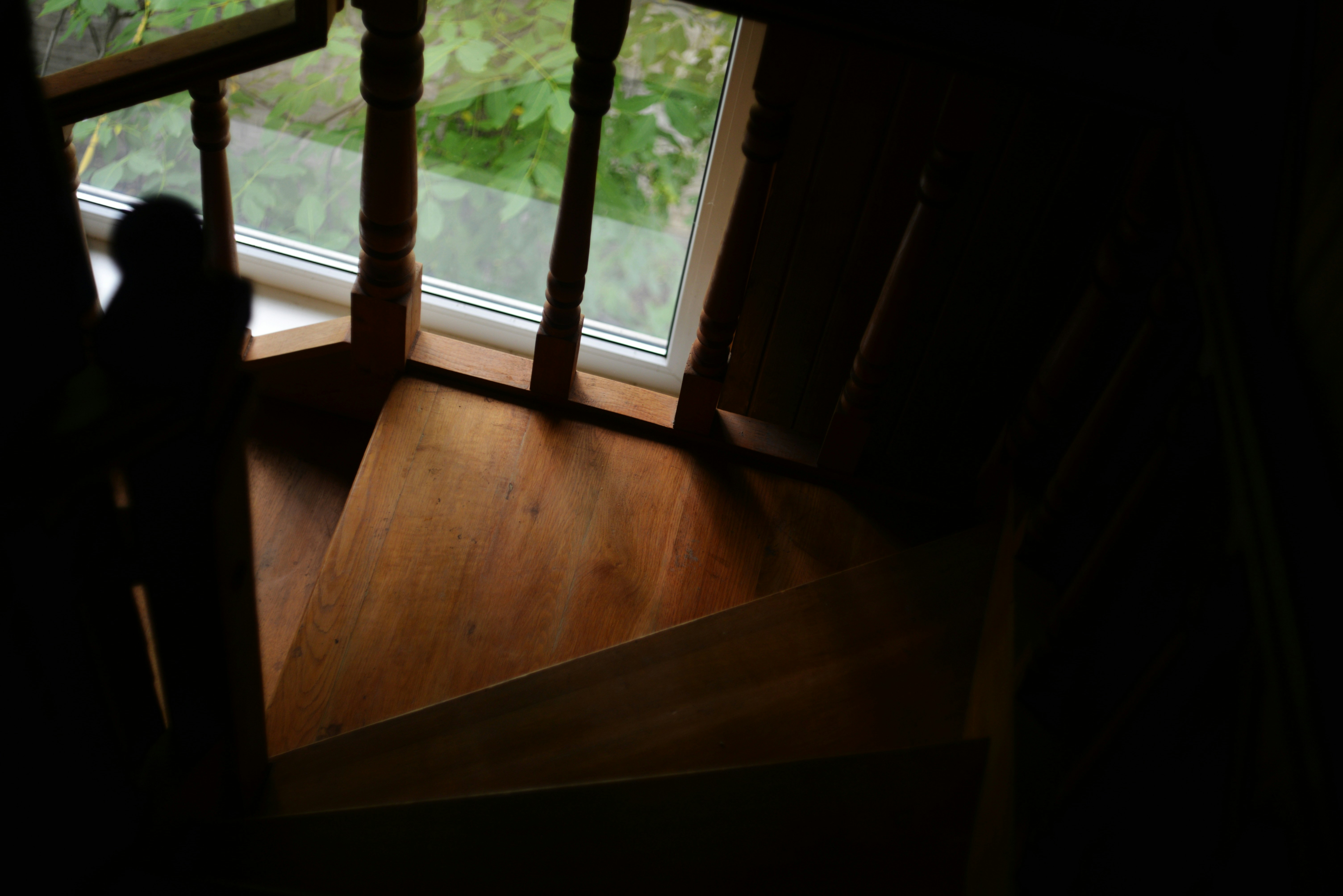 Whispers of Light on Wooden Steps