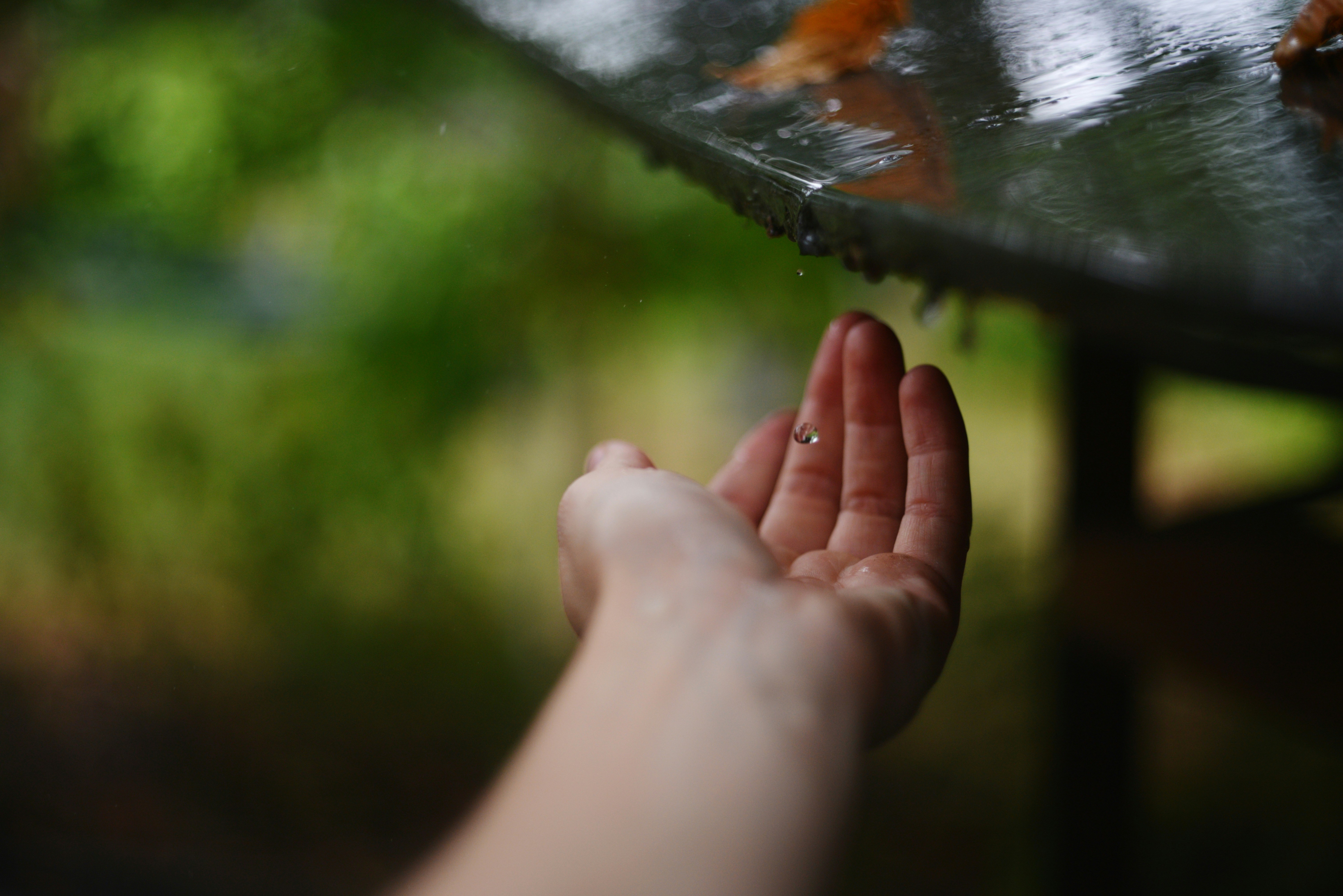 Raindrops fall on an outstretched hand. photo – Free Human Image on ...