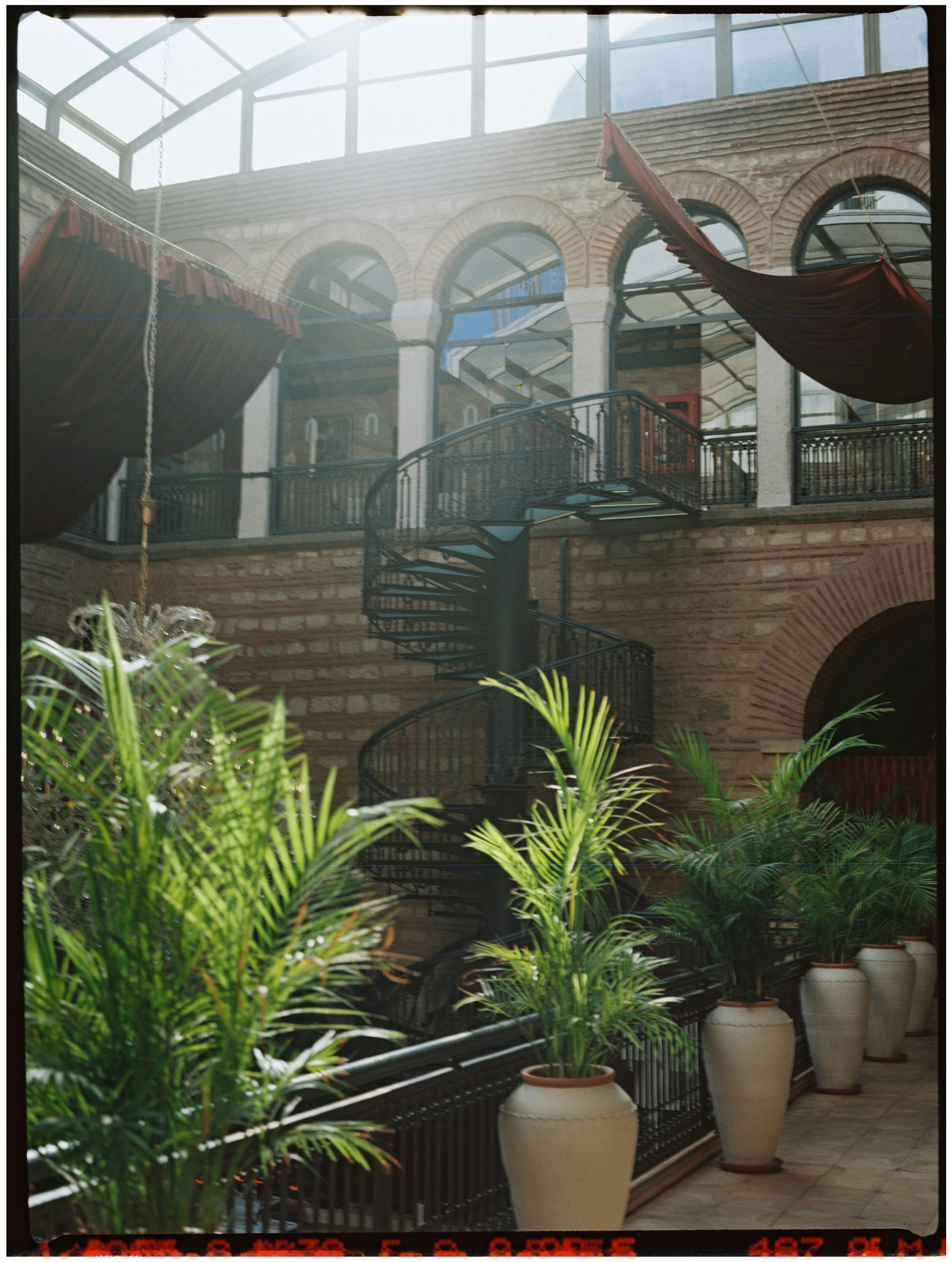 Whispers of Elegance in an Urban Oasis