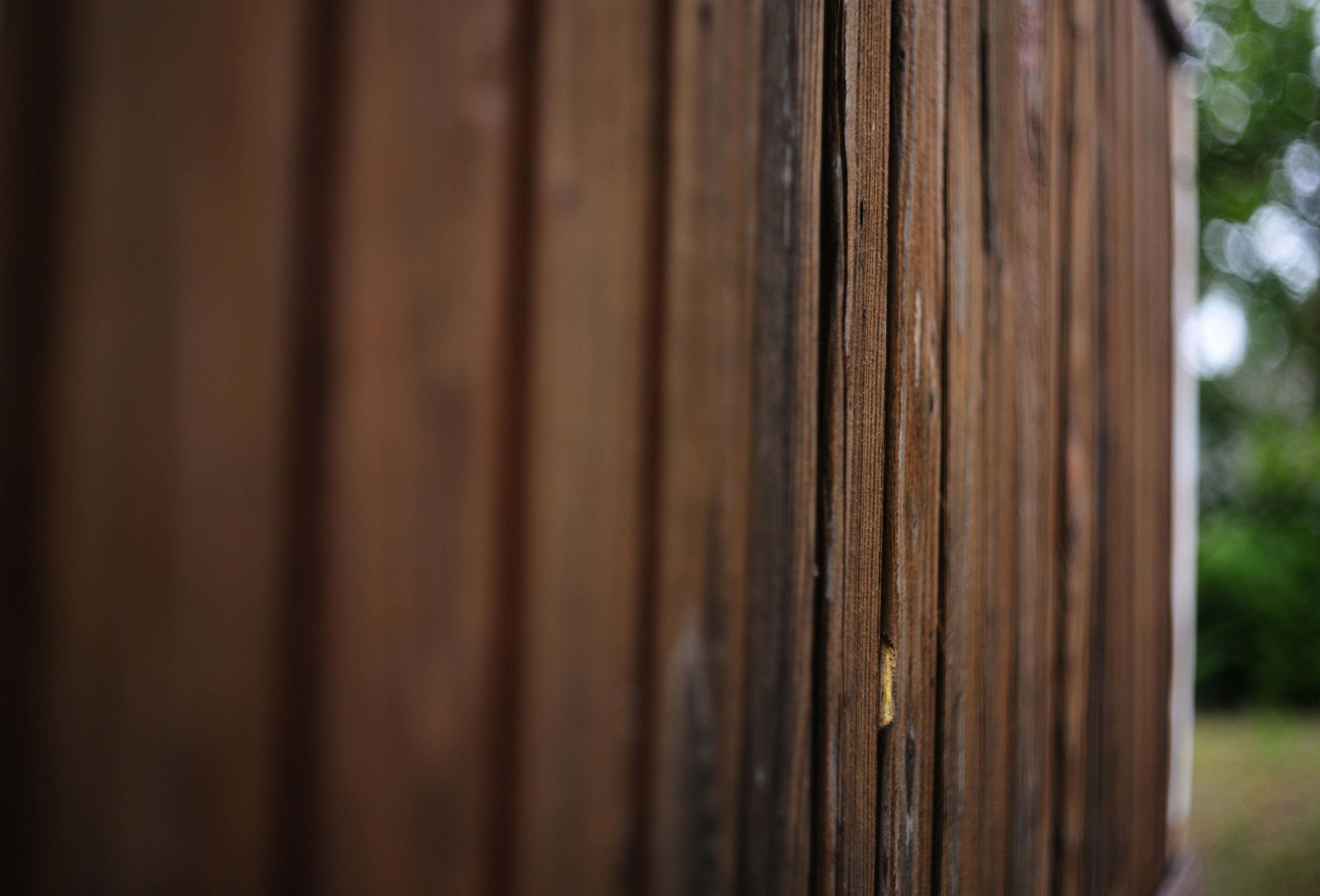 Photo by Liana S with Nikon D600