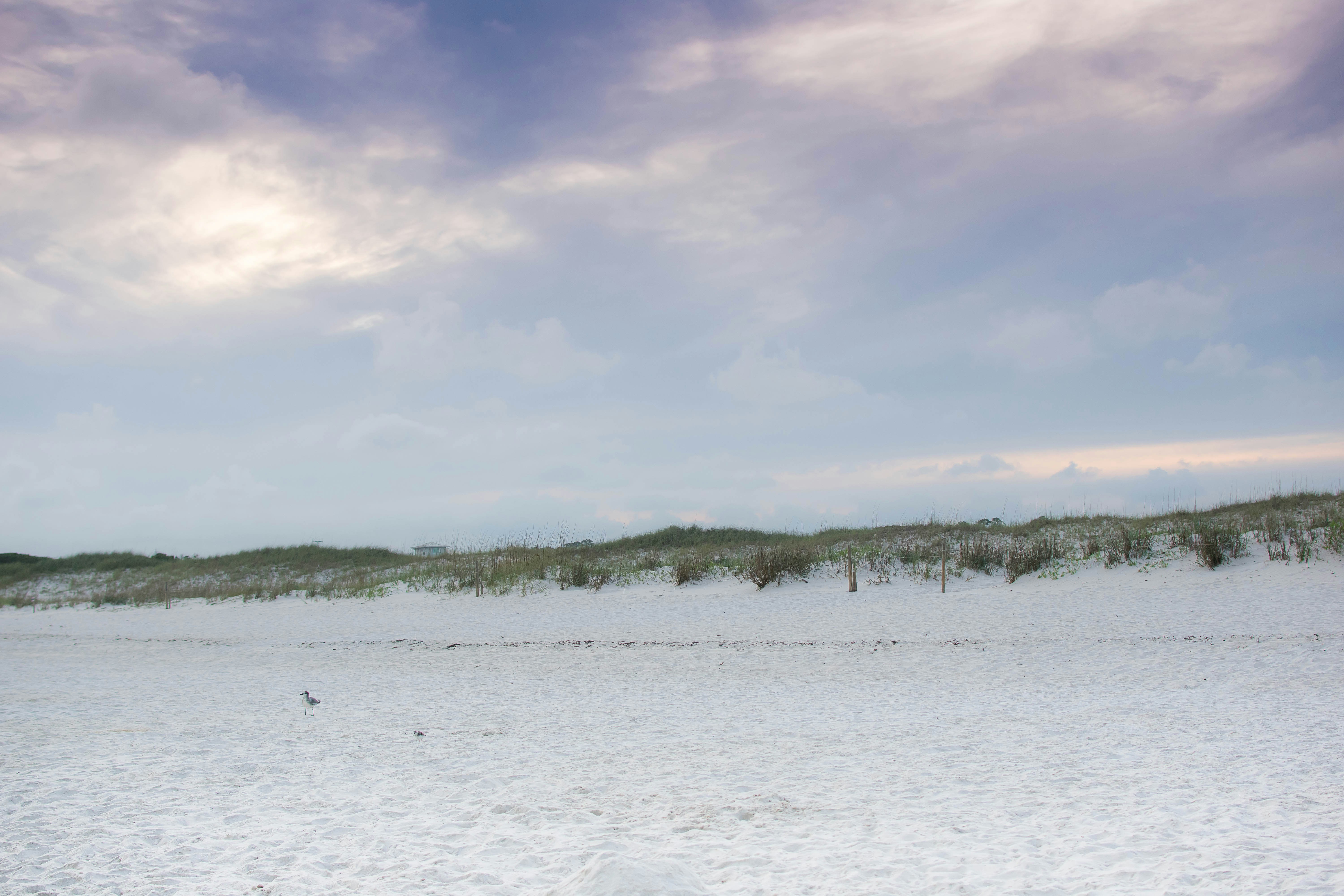 Gentle waves lap against a serene beach, with soft clouds drifting above the dunes at twilight.
