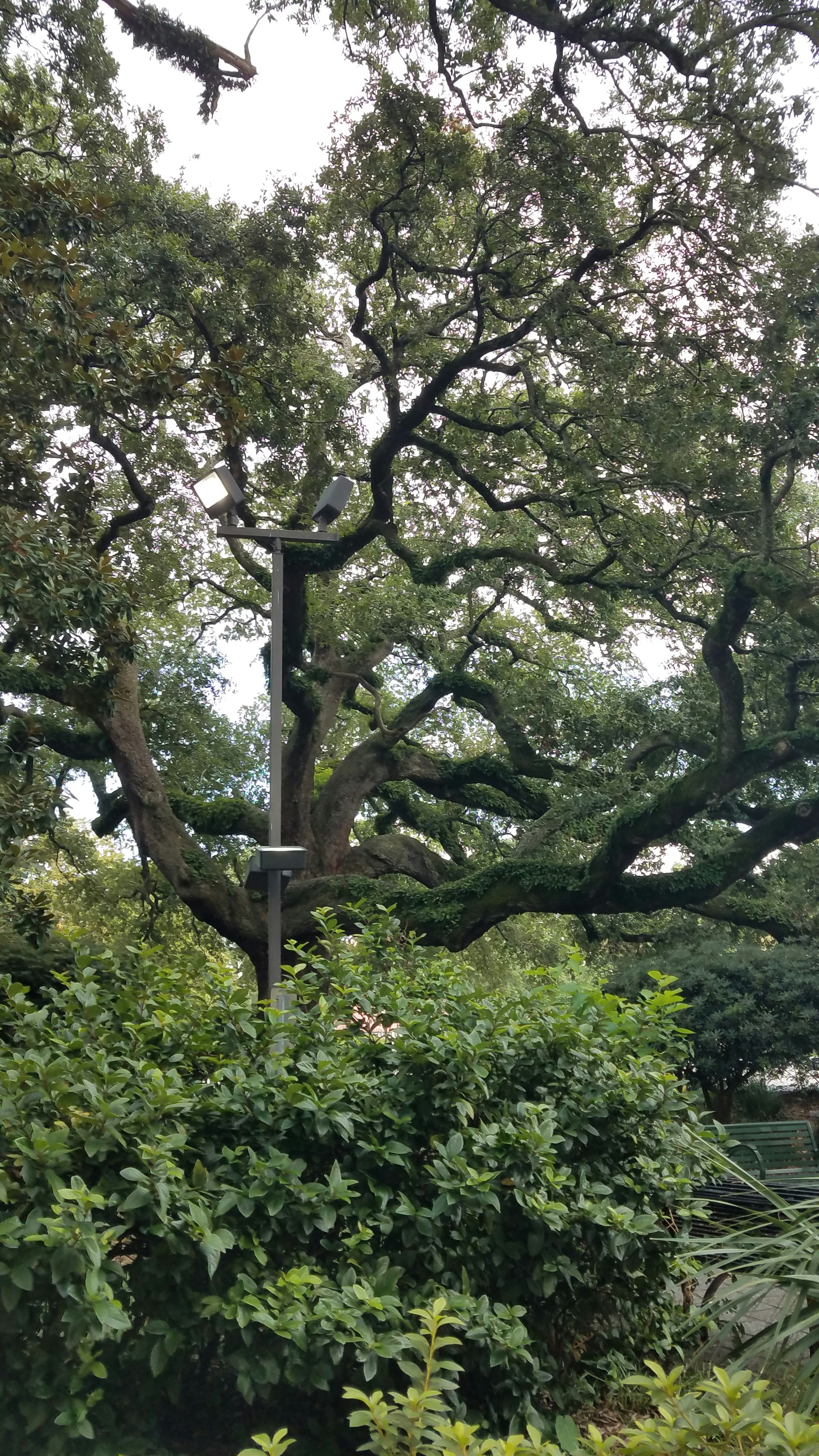 Maddy Weiss (@maddy_moon) | Unsplash 사진 커뮤니티