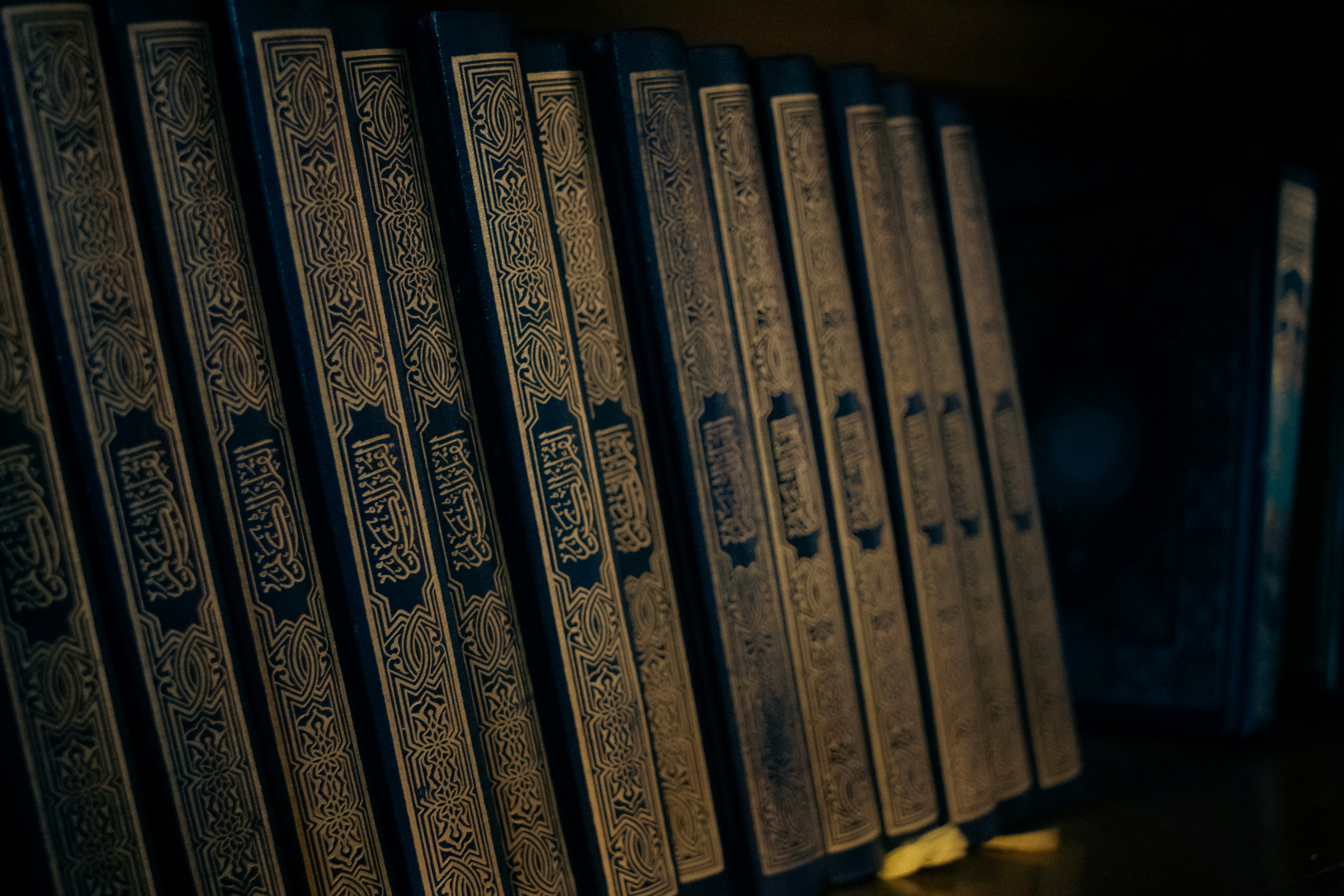 Books lined up on a shelf.