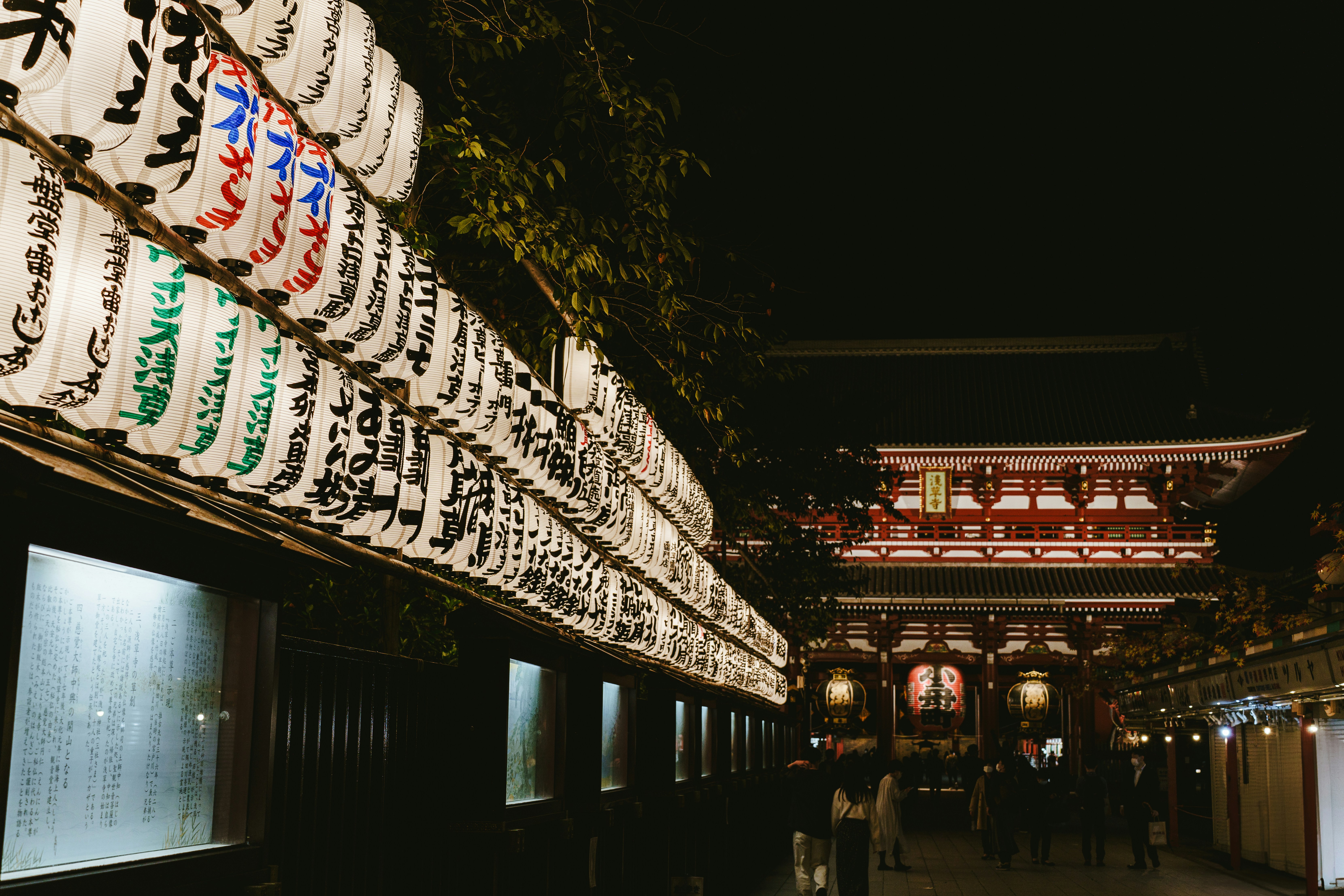 Lined lanterns illuminate a temple at night.