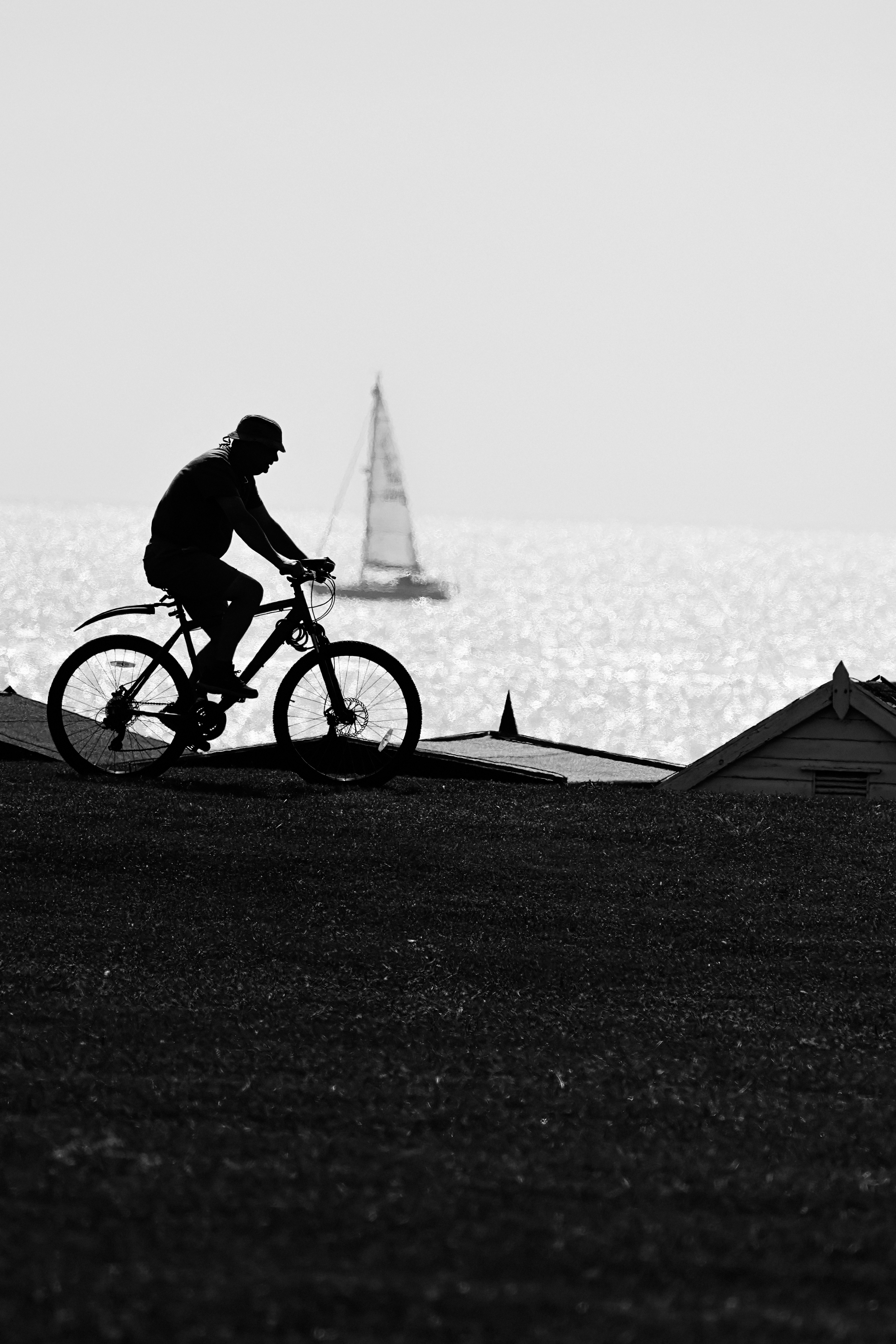 Waves of Motion: A Cyclist's Journey