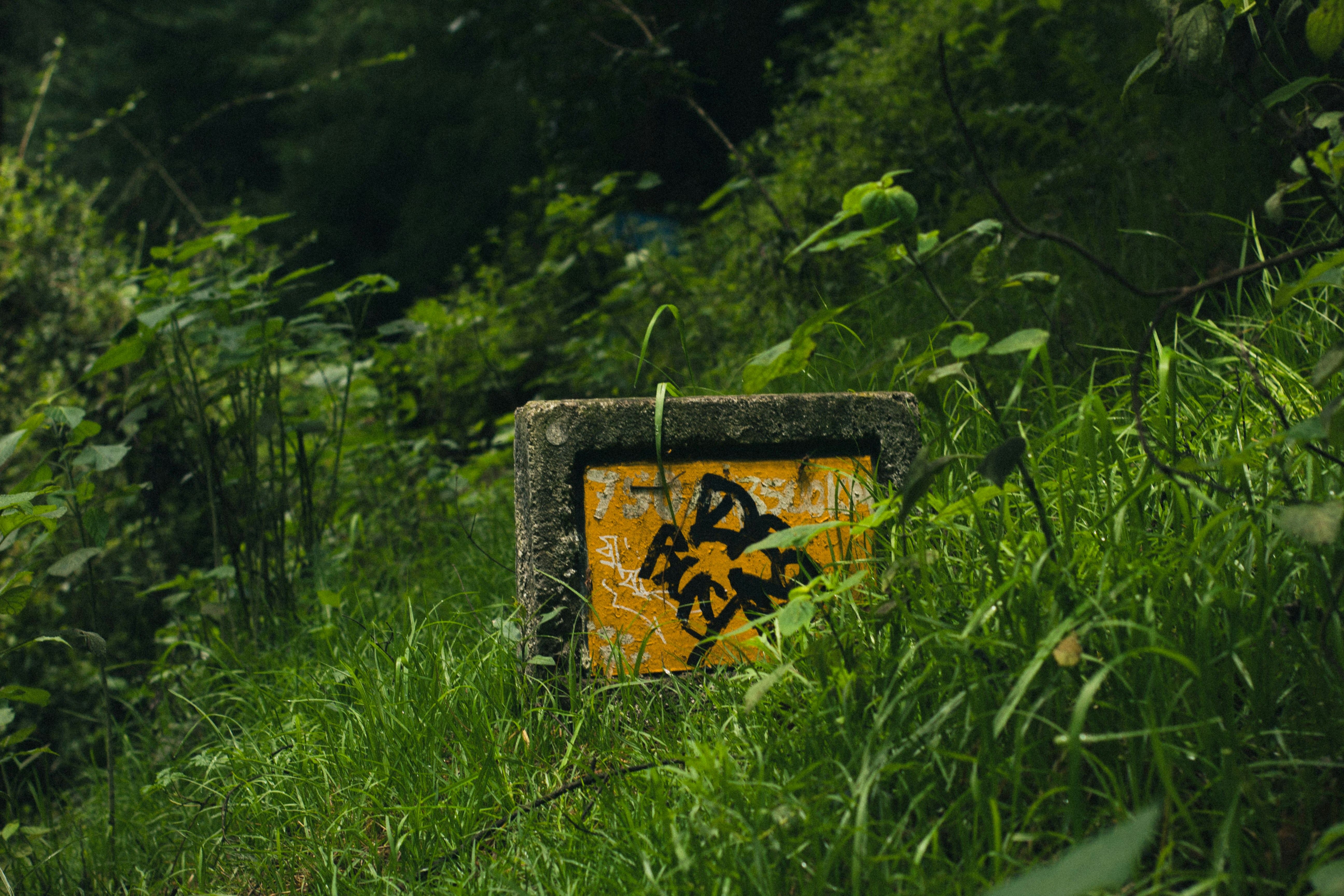 A mysterious yellow warning sign overgrown with tall grass in a wild forest trail. | A graffiti-covered block resides in lush greenery.