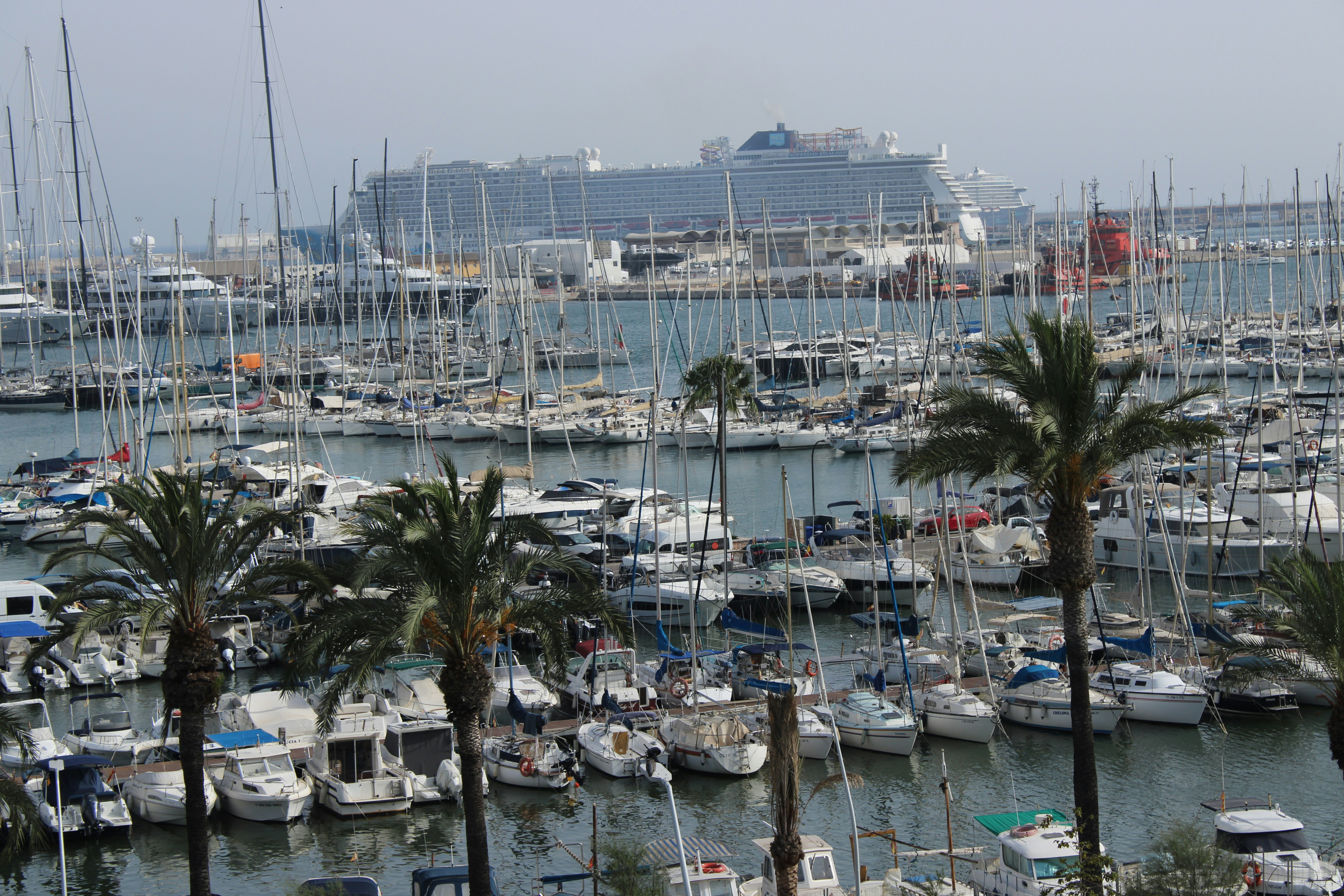 Puerto | Palm trees overlook a harbor filled with sailboats and a ship.