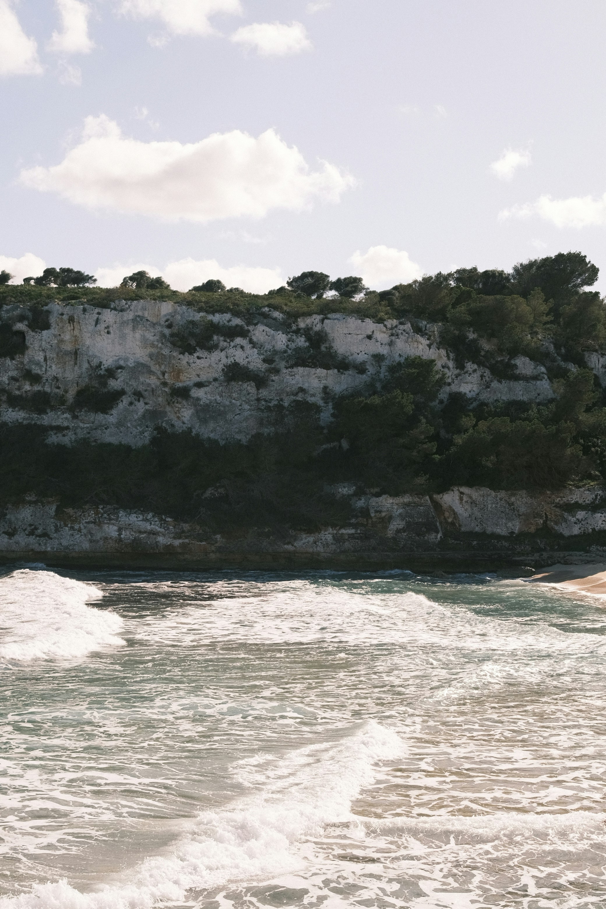 Whispers of the Shoreline: A Coastal Reverie