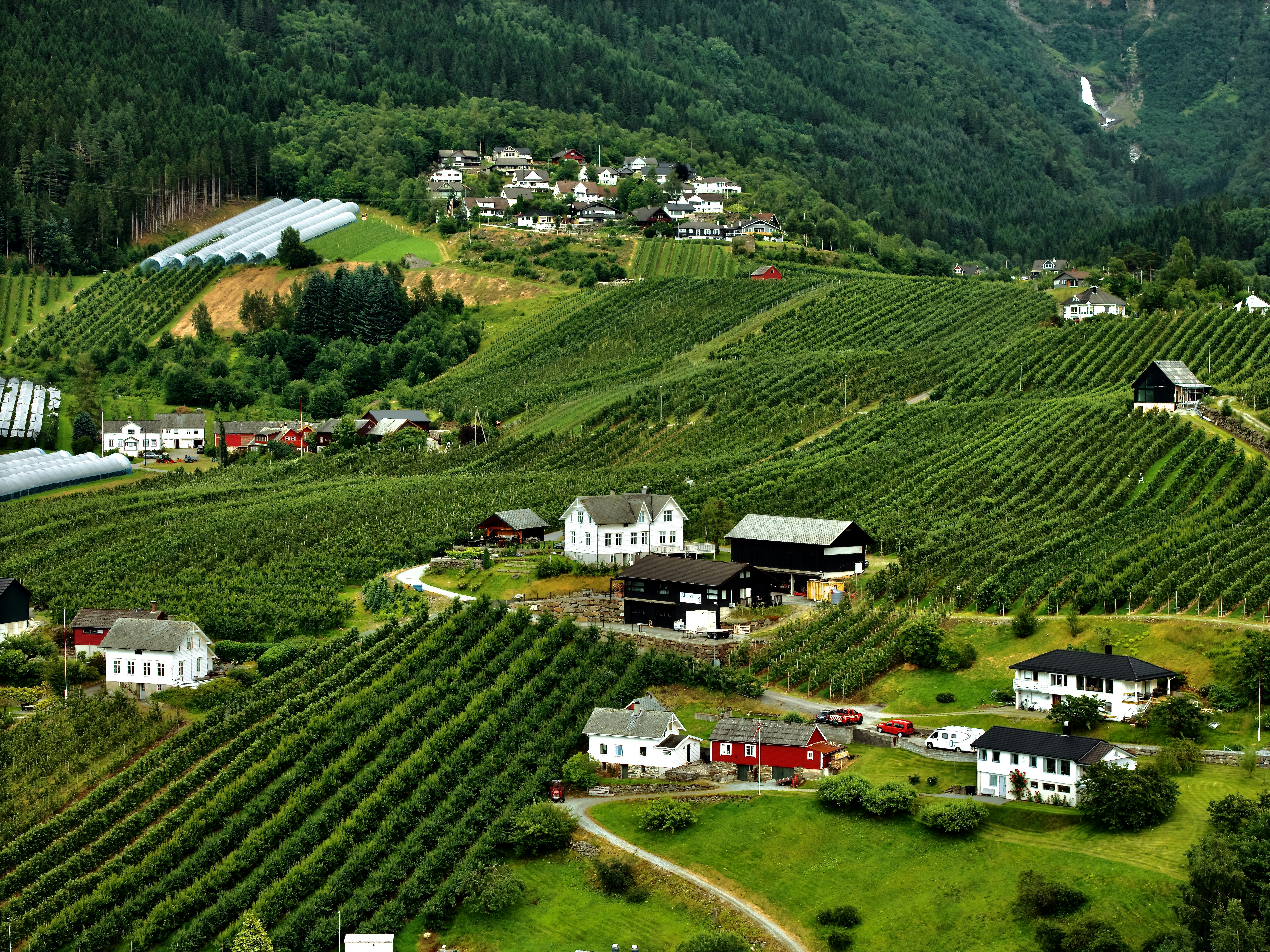 Rolling green hills and tiny homes dot the landscape.
