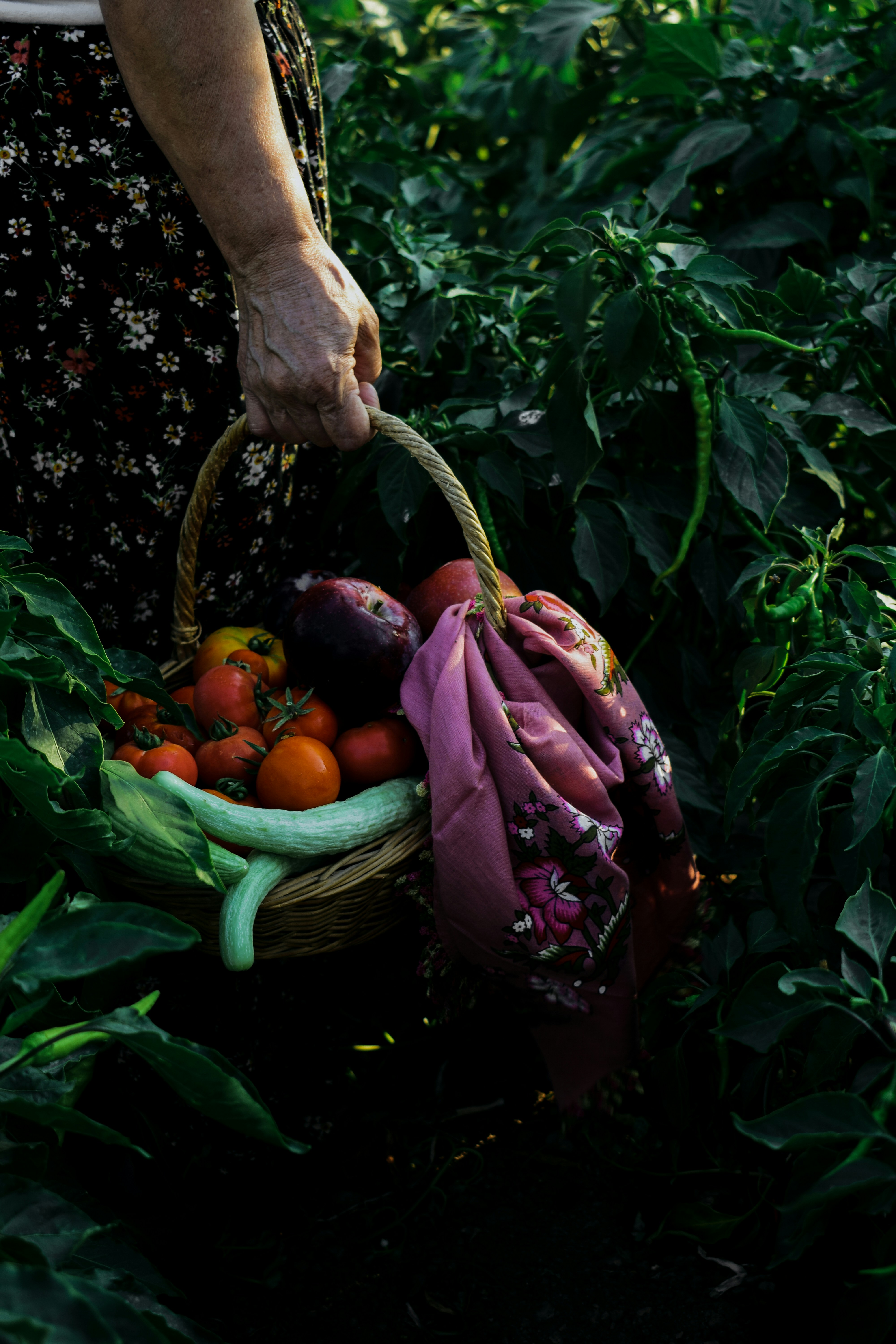 The model remains unrecognizable; her face unseen. But the hands of this farmer woman carry a silent story. | A basket of freshly harvested vegetables.