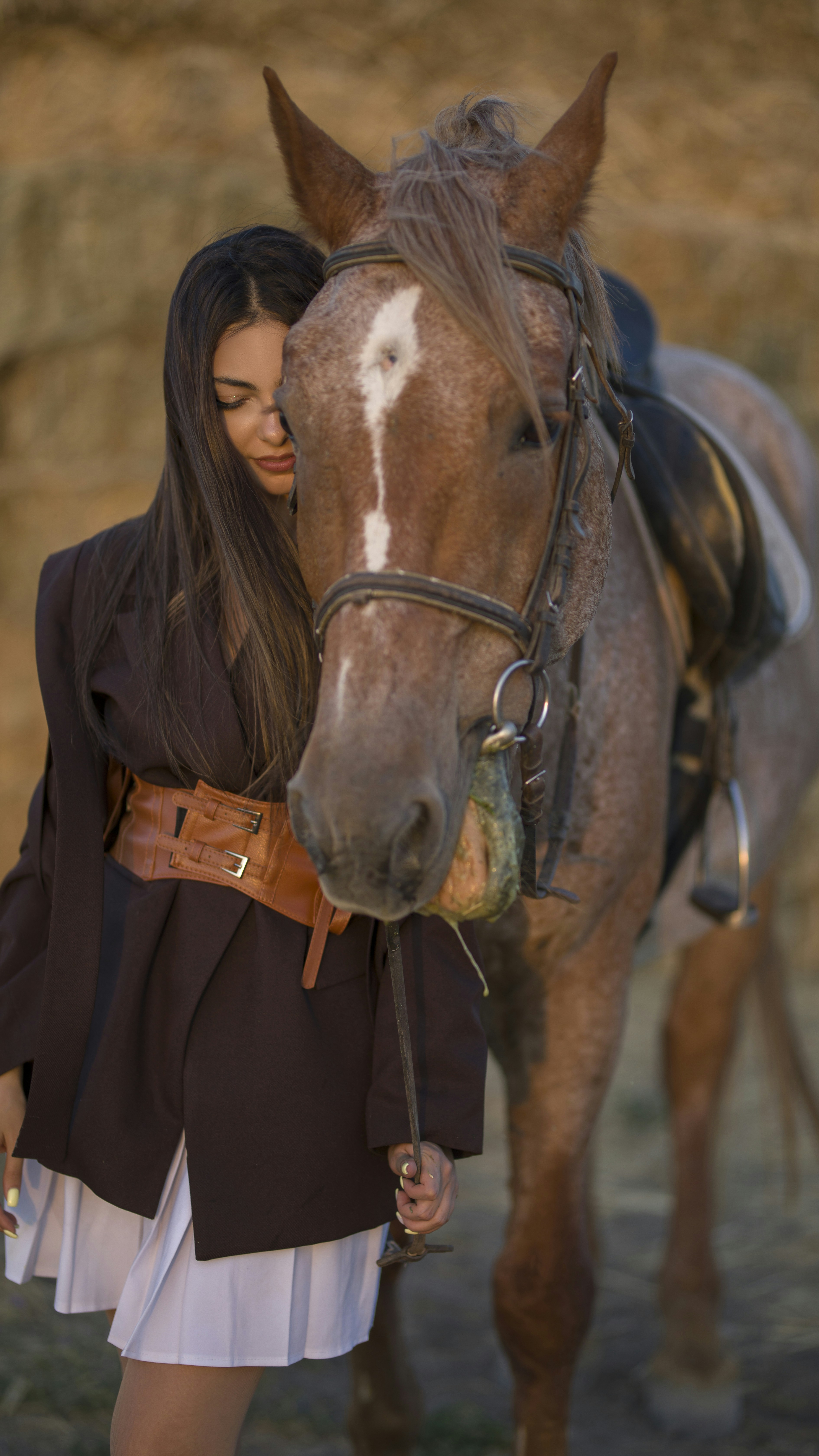 Harmony Between Human and Horse